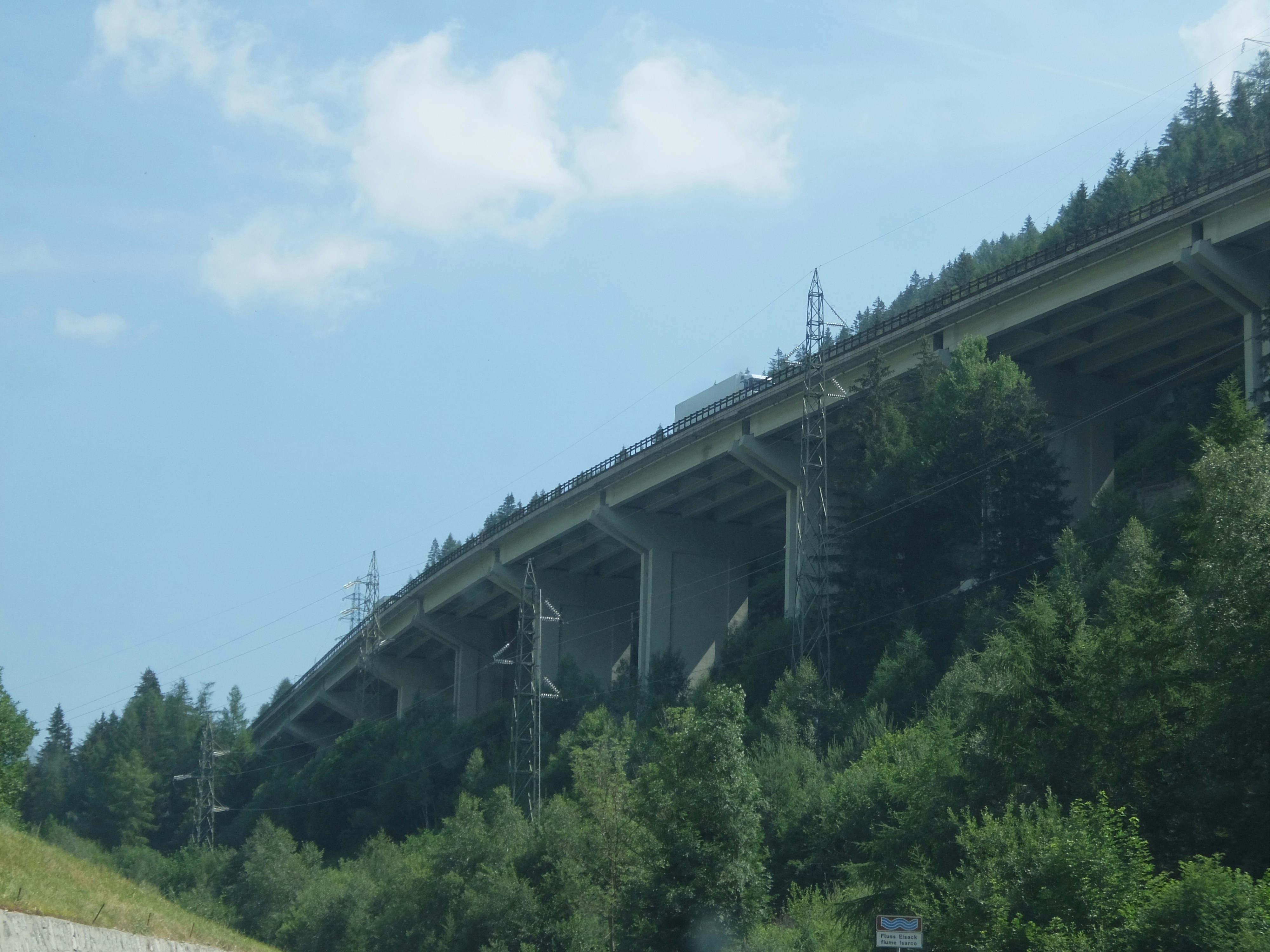 A highway bridge spans a forested mountainside, with supporting pylons visible among dense trees under a bright blue sky. An infrastructure scene emphasizing scale and engineering amid natural surroundings.