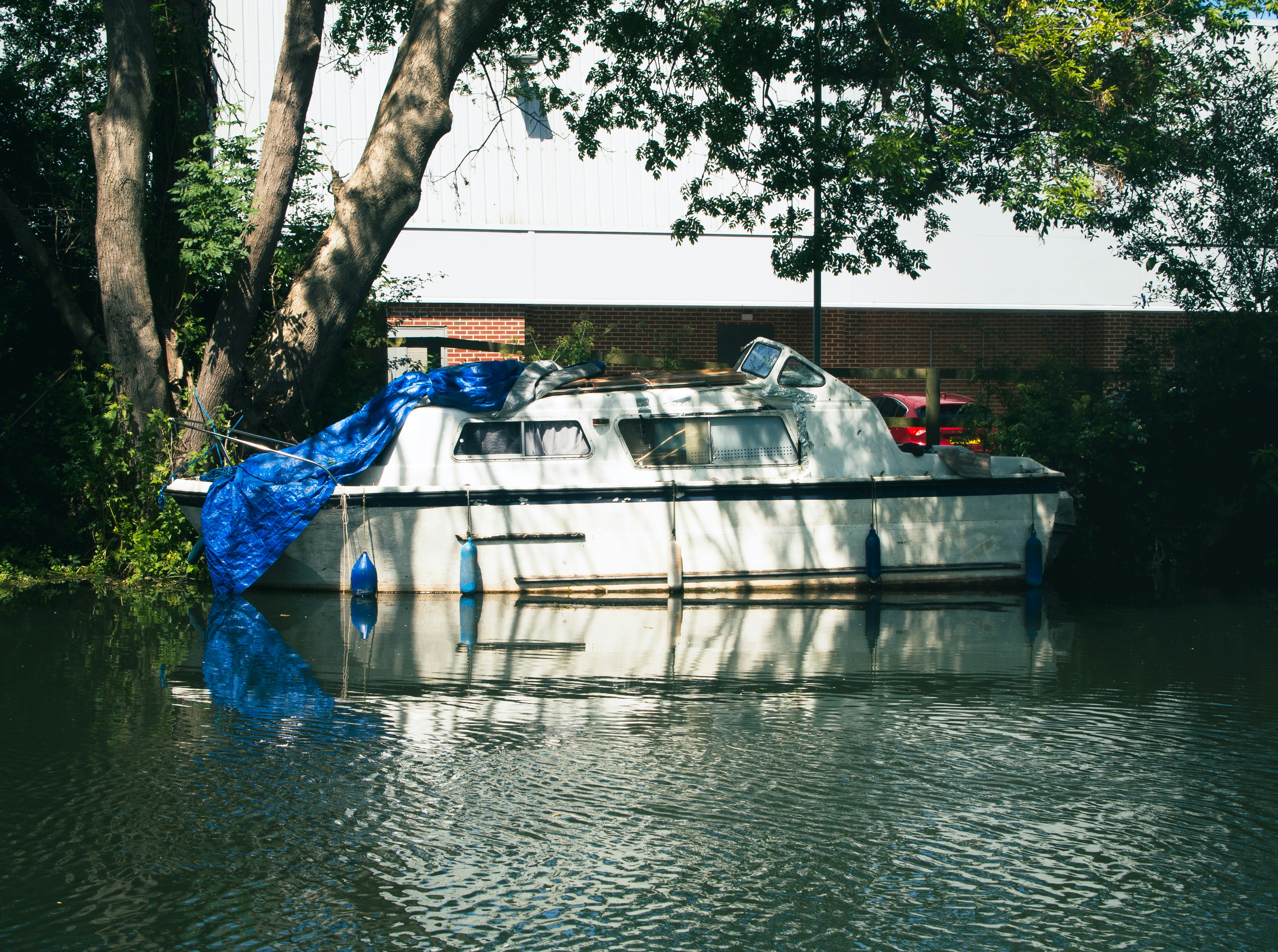 Sunlit Houseboat Quietly Anchored by Willowed Shade