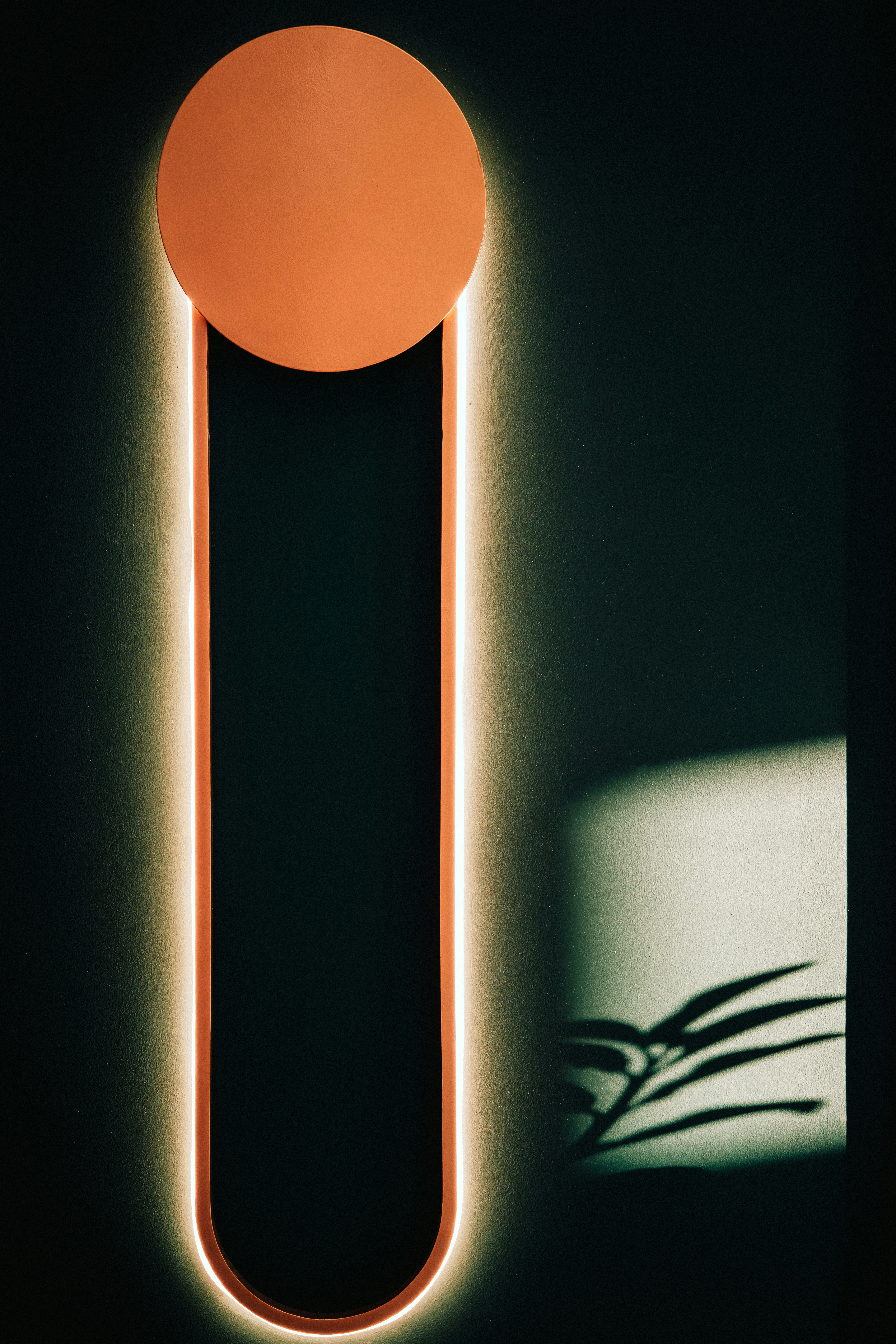Neon Circle Over Palm Shadows