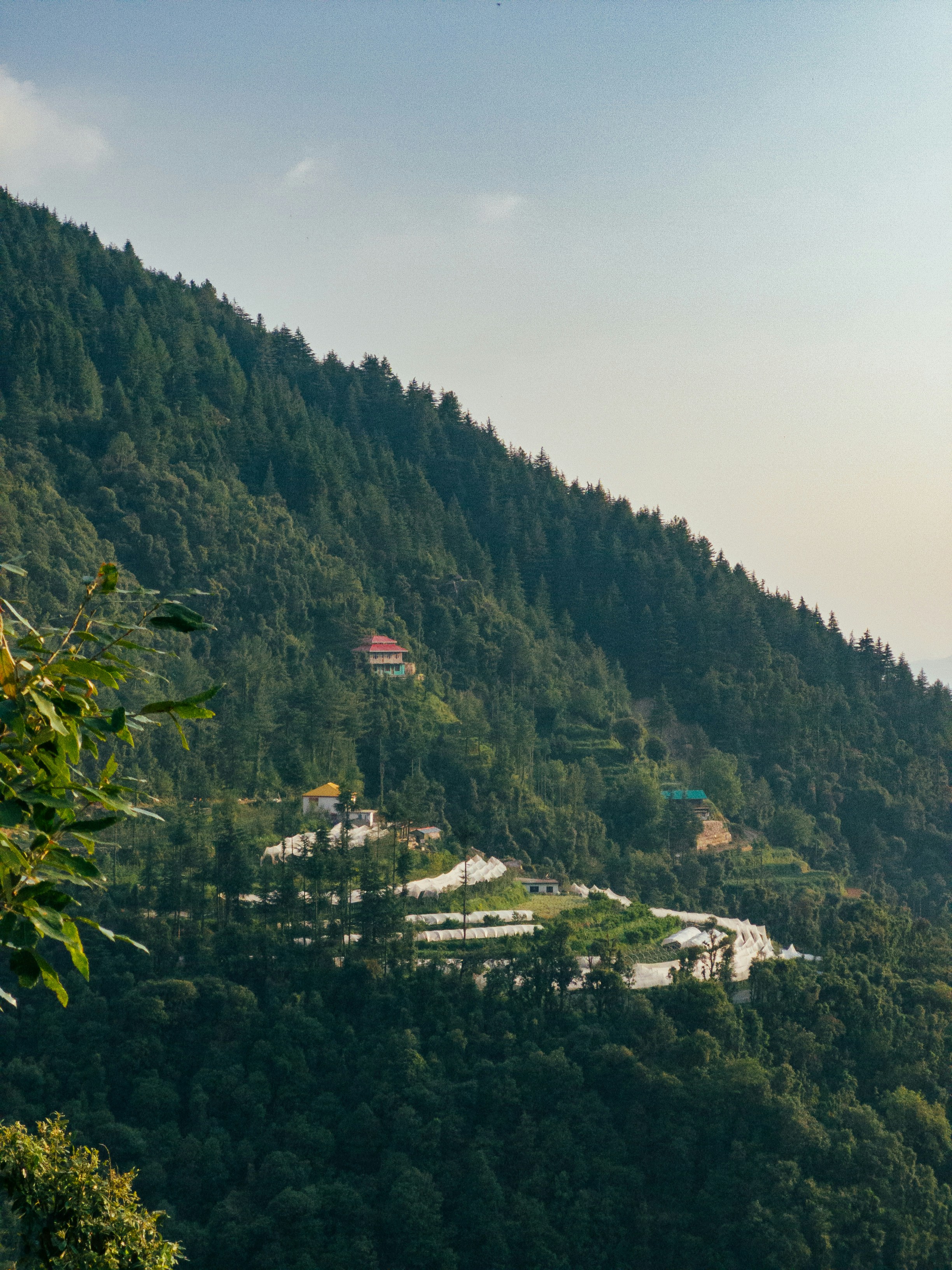 Hilltop House Amid Forested Slopes at Distant Horizon