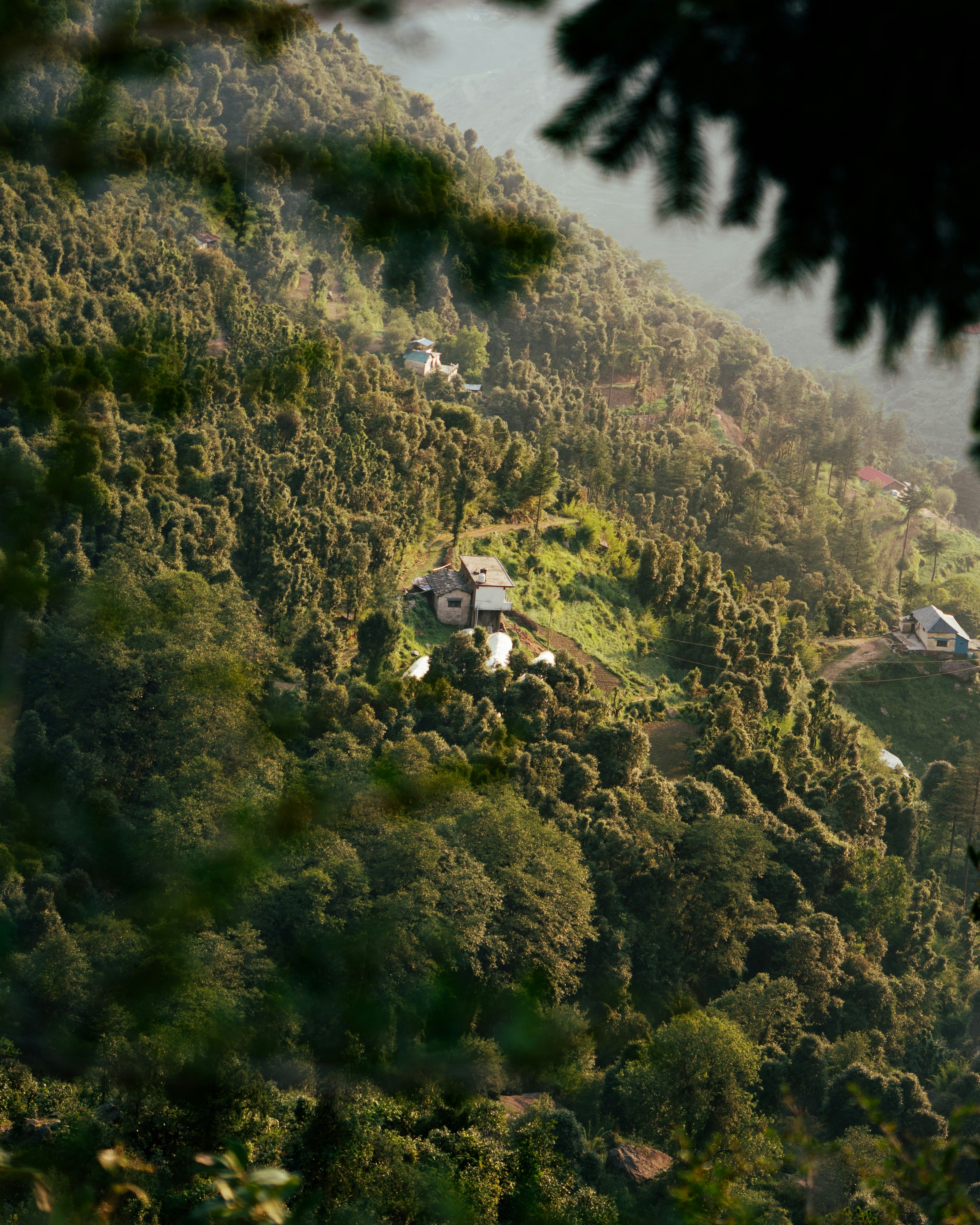 Hidden Hilltop Estate Surrounded by Misty Pines