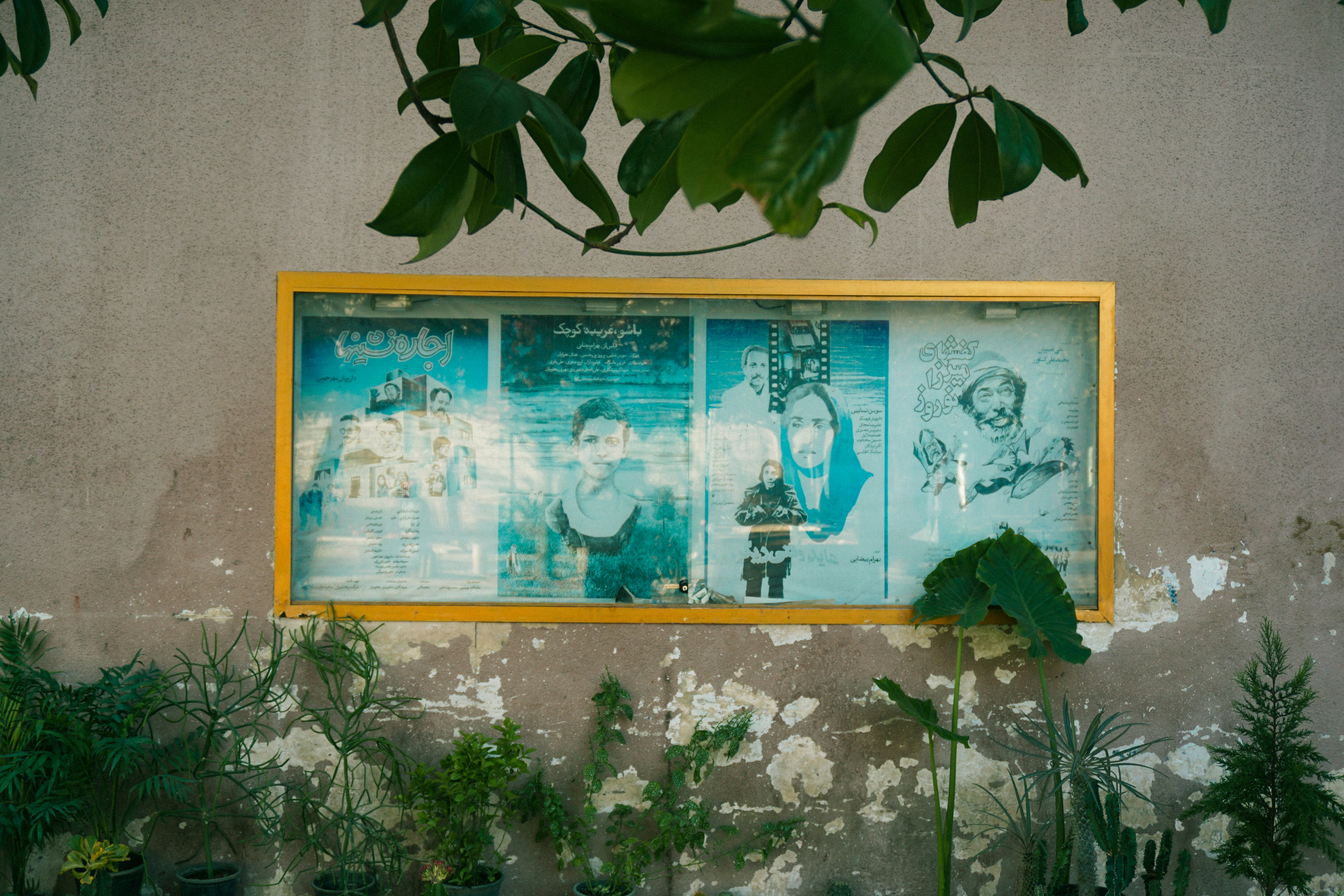 Framed blue posters set in a weathered courtyard