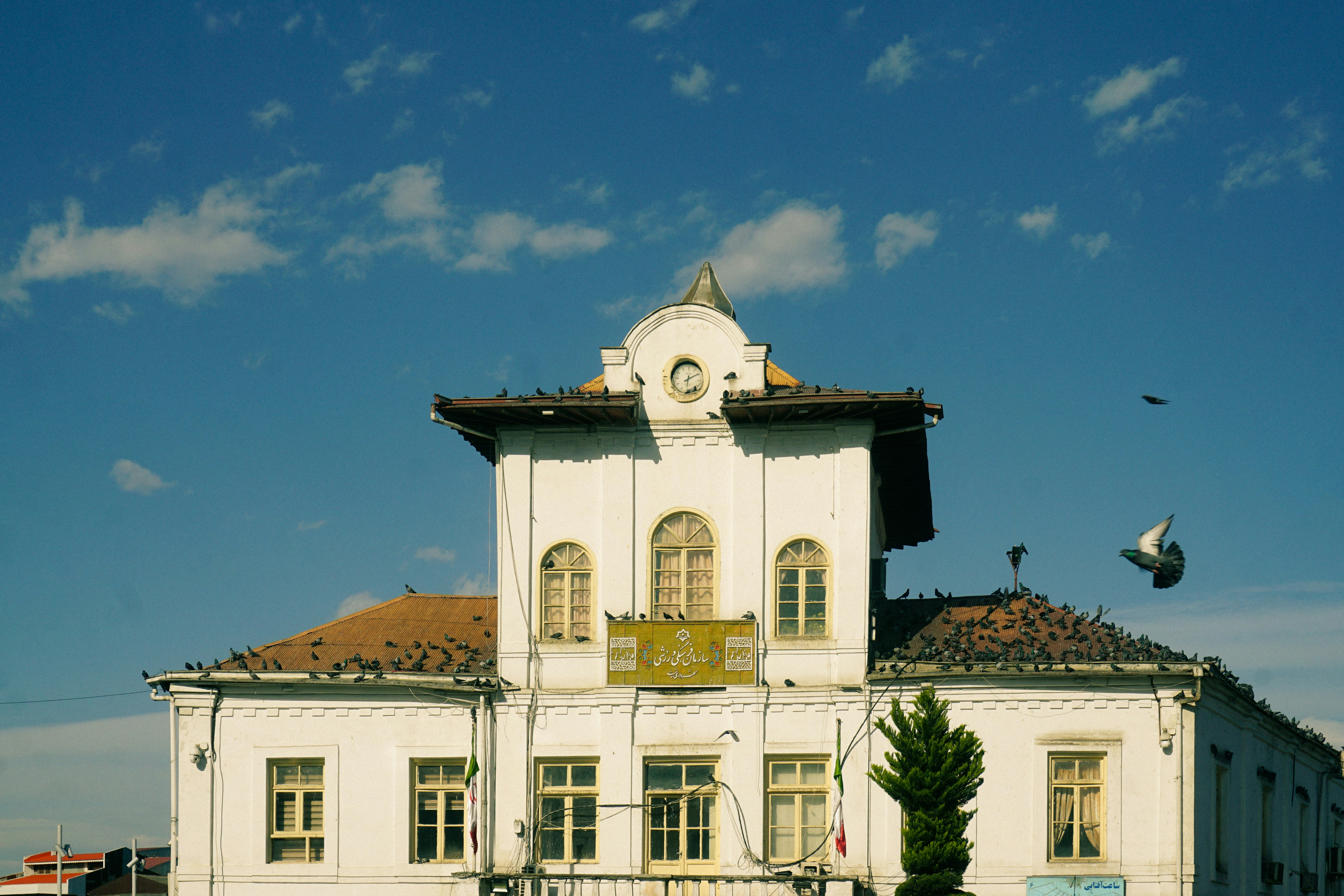 Central Facade: A Quiet, Sunlit Town Hall Under a Clear Sky