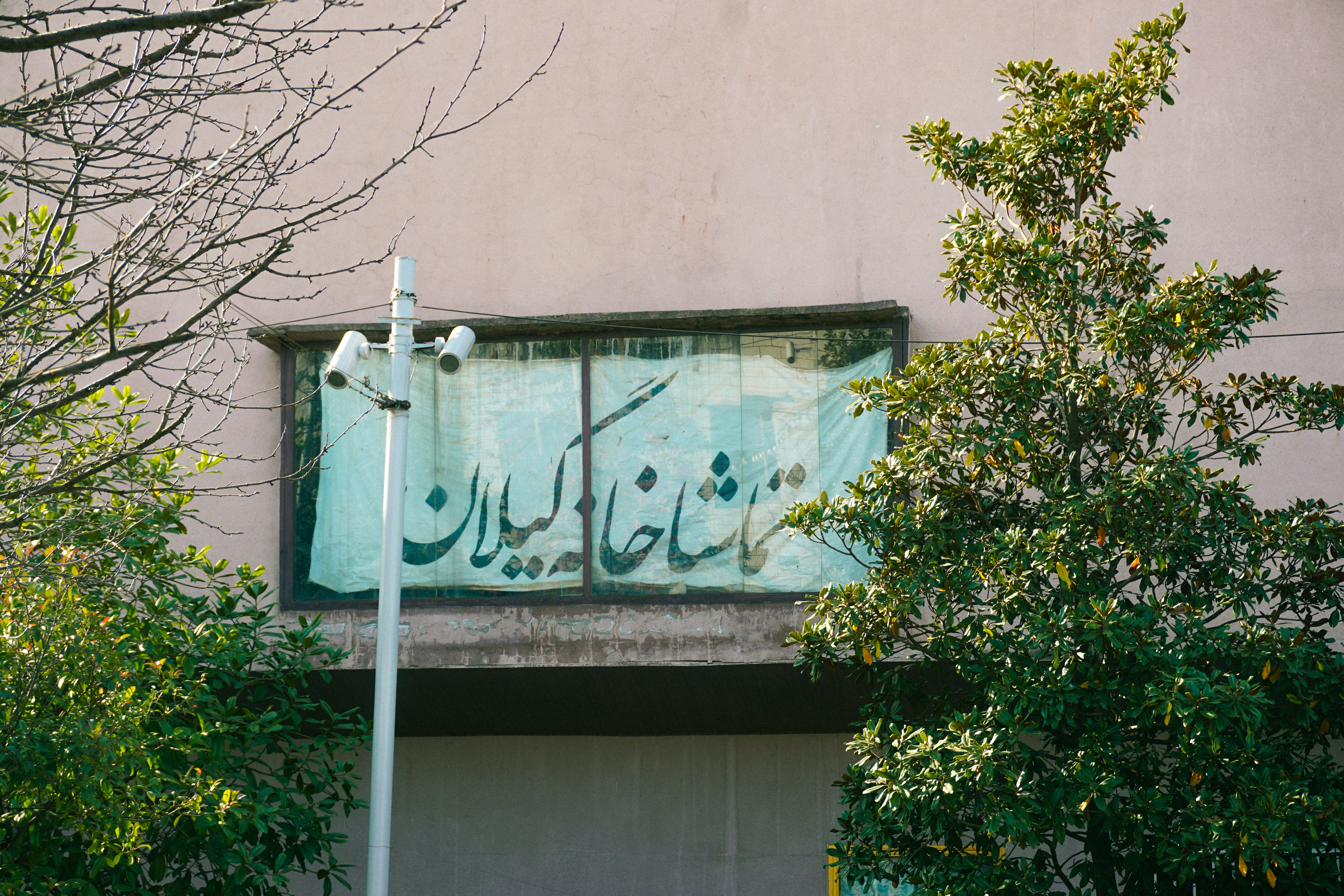Broken Sign Framed by Greenery under Soft Evening Light