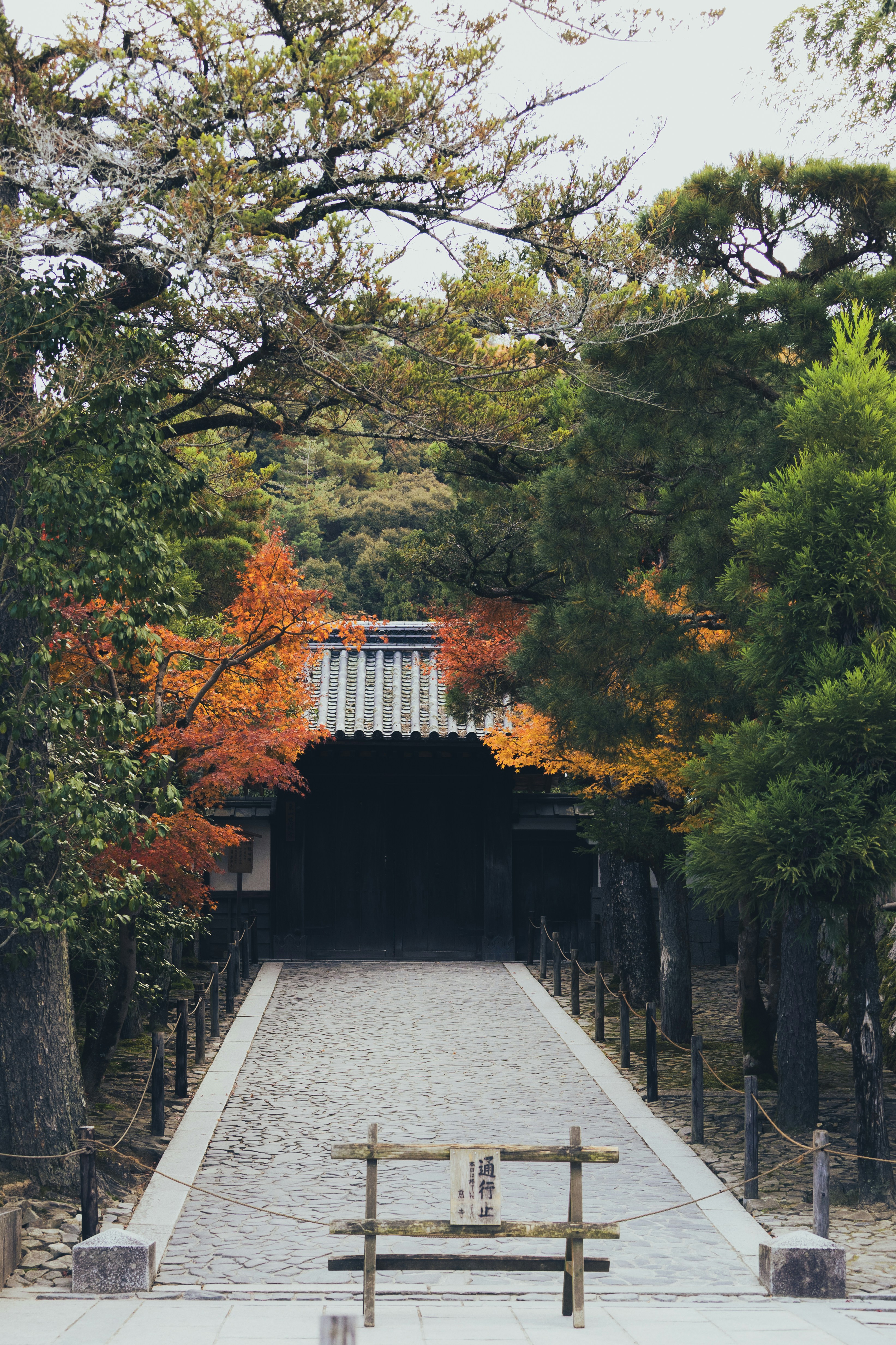 Autumn Gateway: A Quiet Path to the Traditional Hall