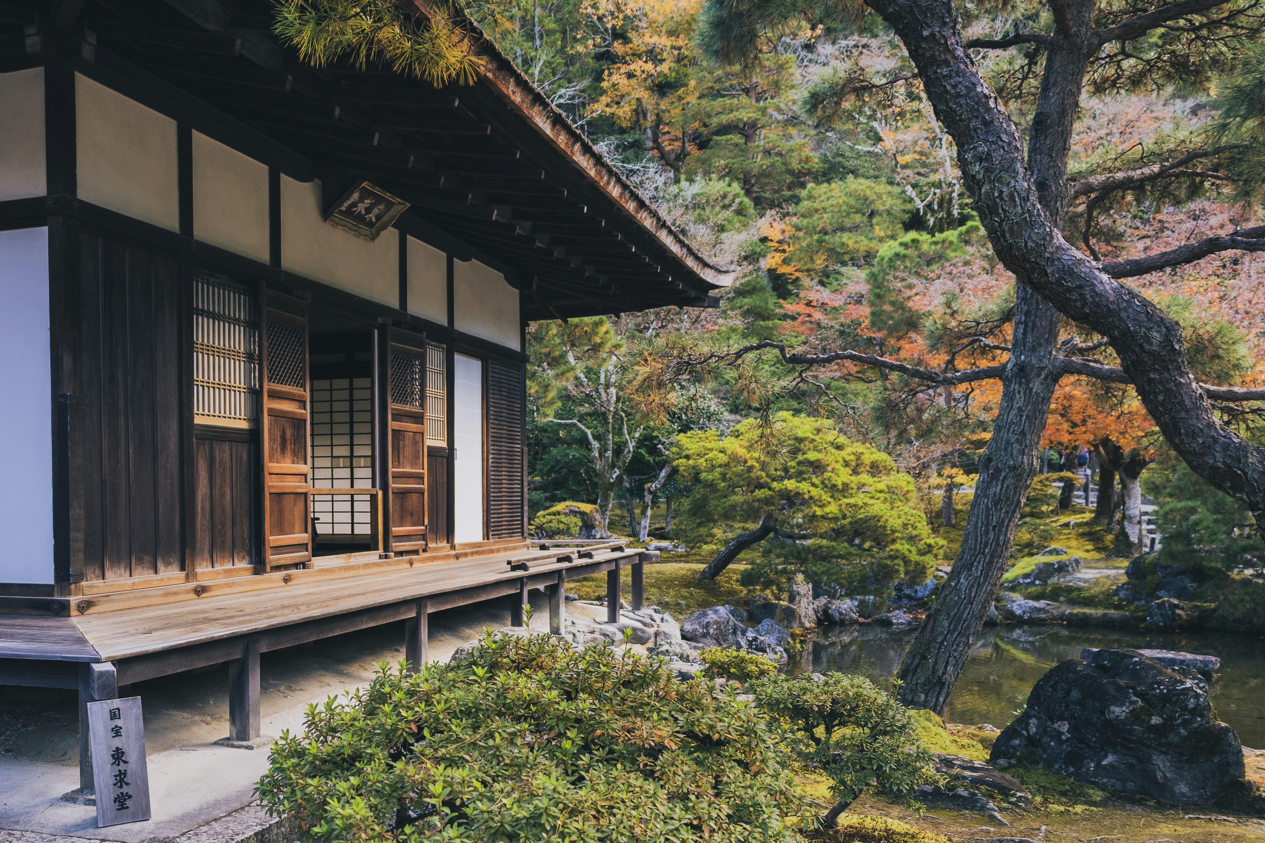Tranquil Kyoto Wing: Wooden Pavilion Amid Autumnal Garden