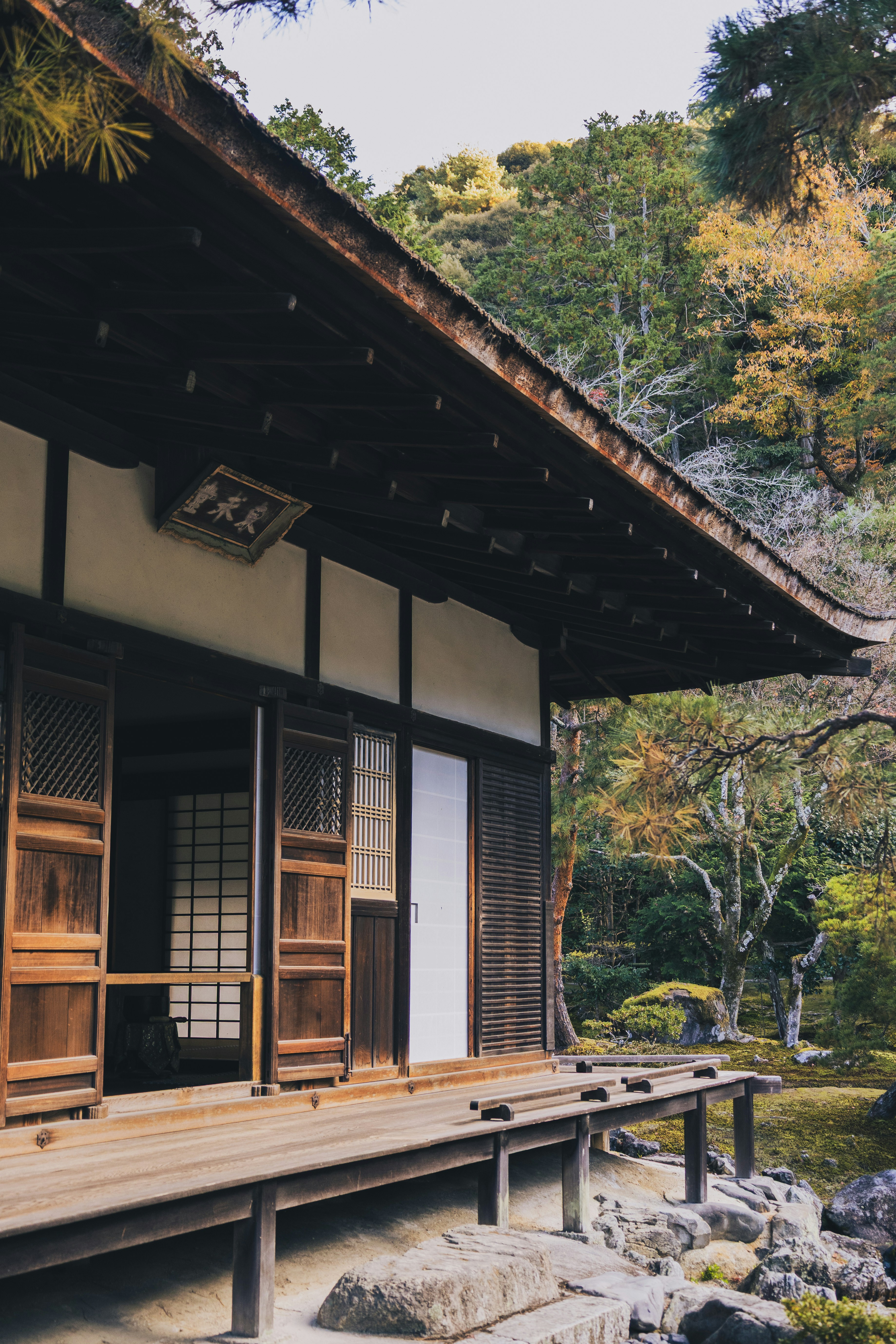 Serene Japanese Tea House Emerges from a Lush Autumn Garden
