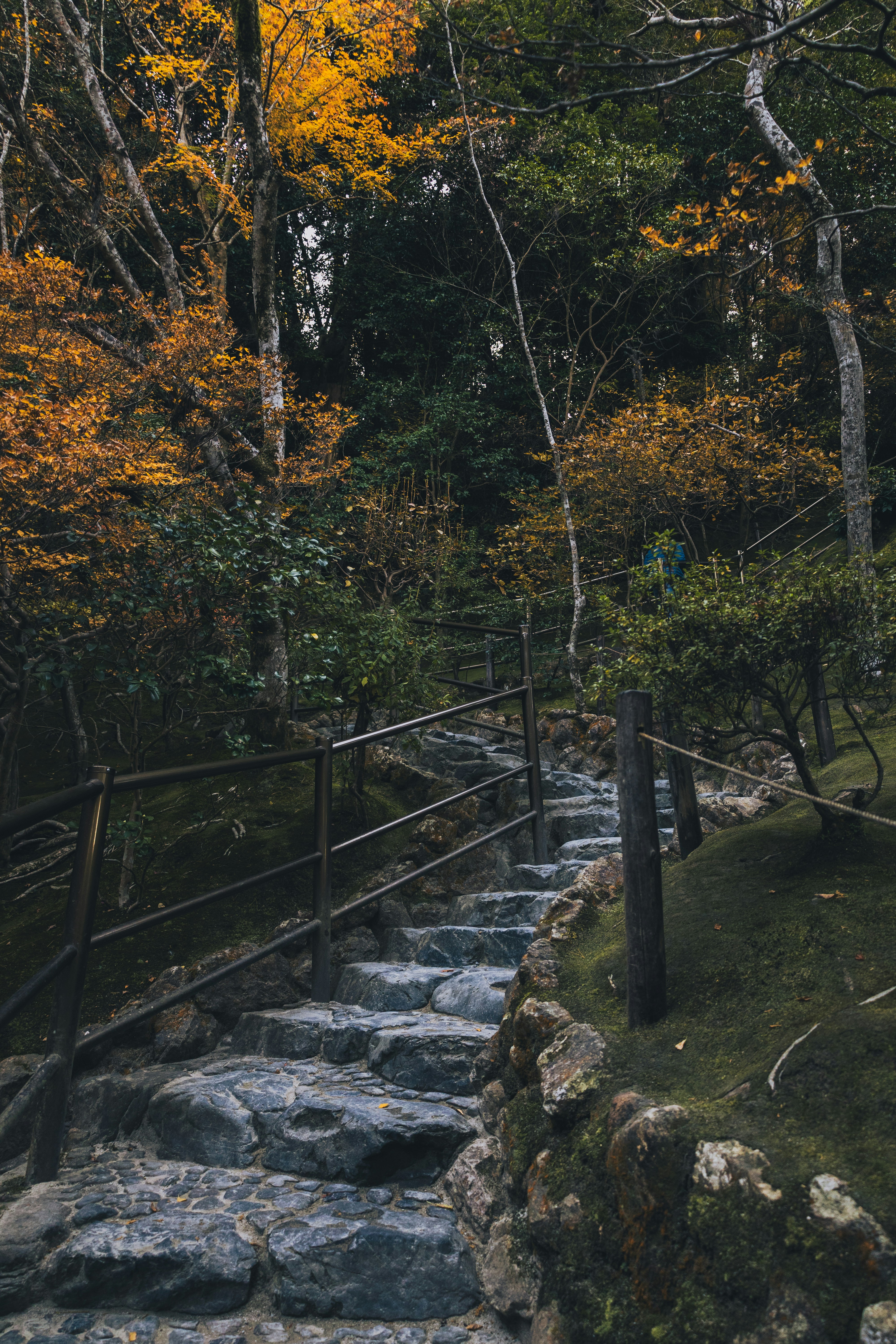 Autumn Stone Path: A Quiet Ascent Through The Forest