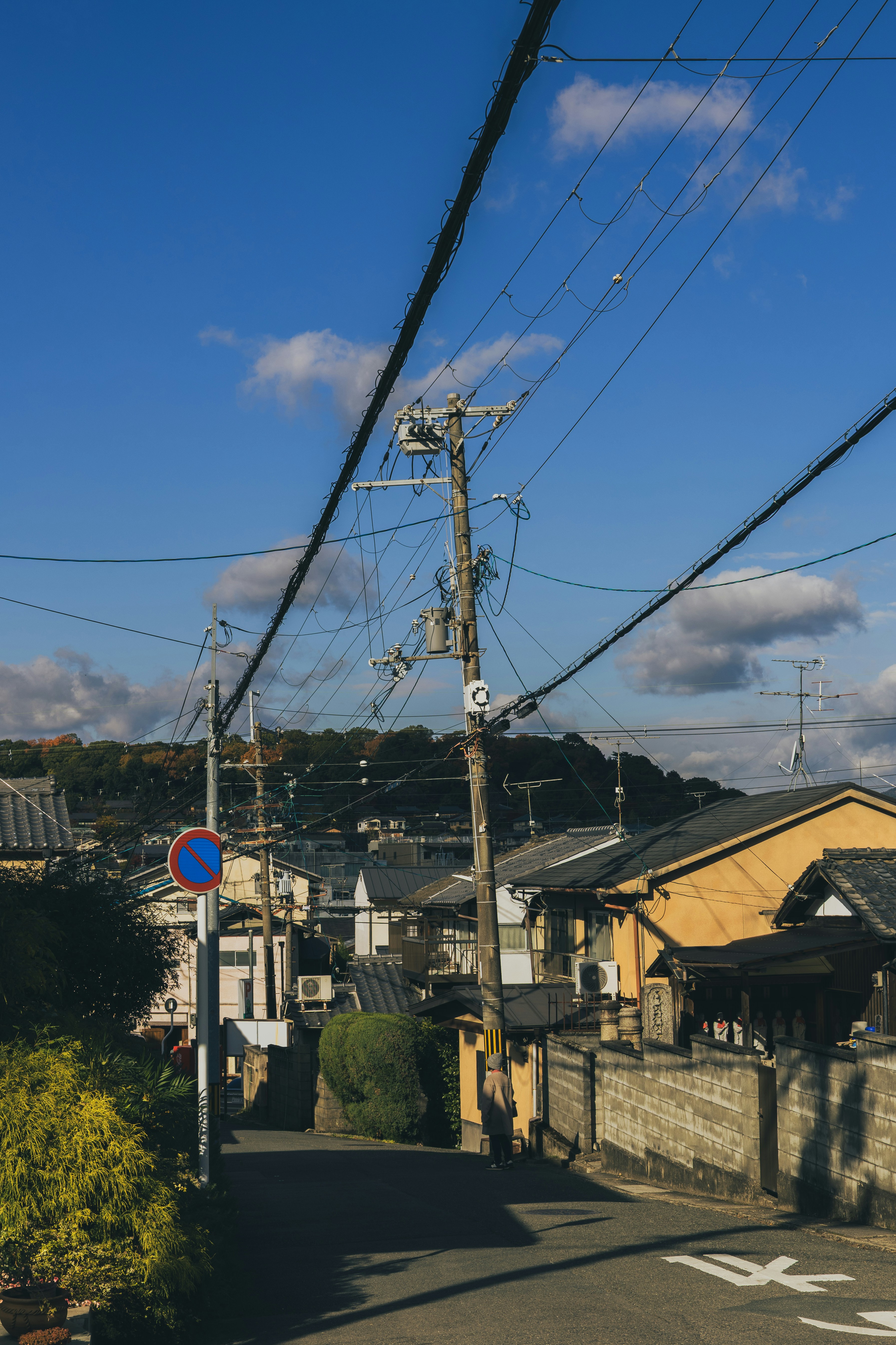 Quiet Street in Dawn Light Beneath Tangle of Power Lines