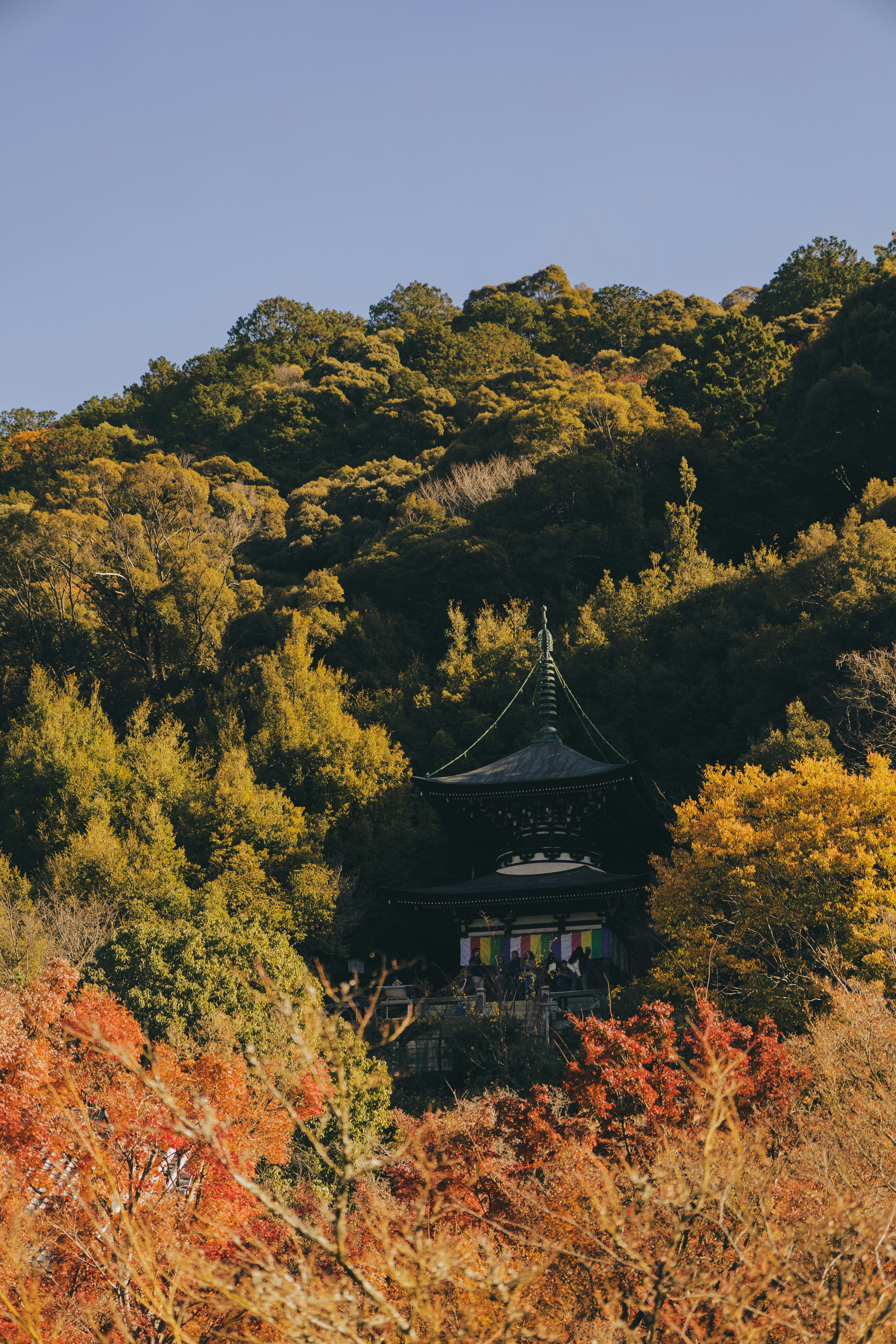 Autumn Shrine Nestled in Golden Hills