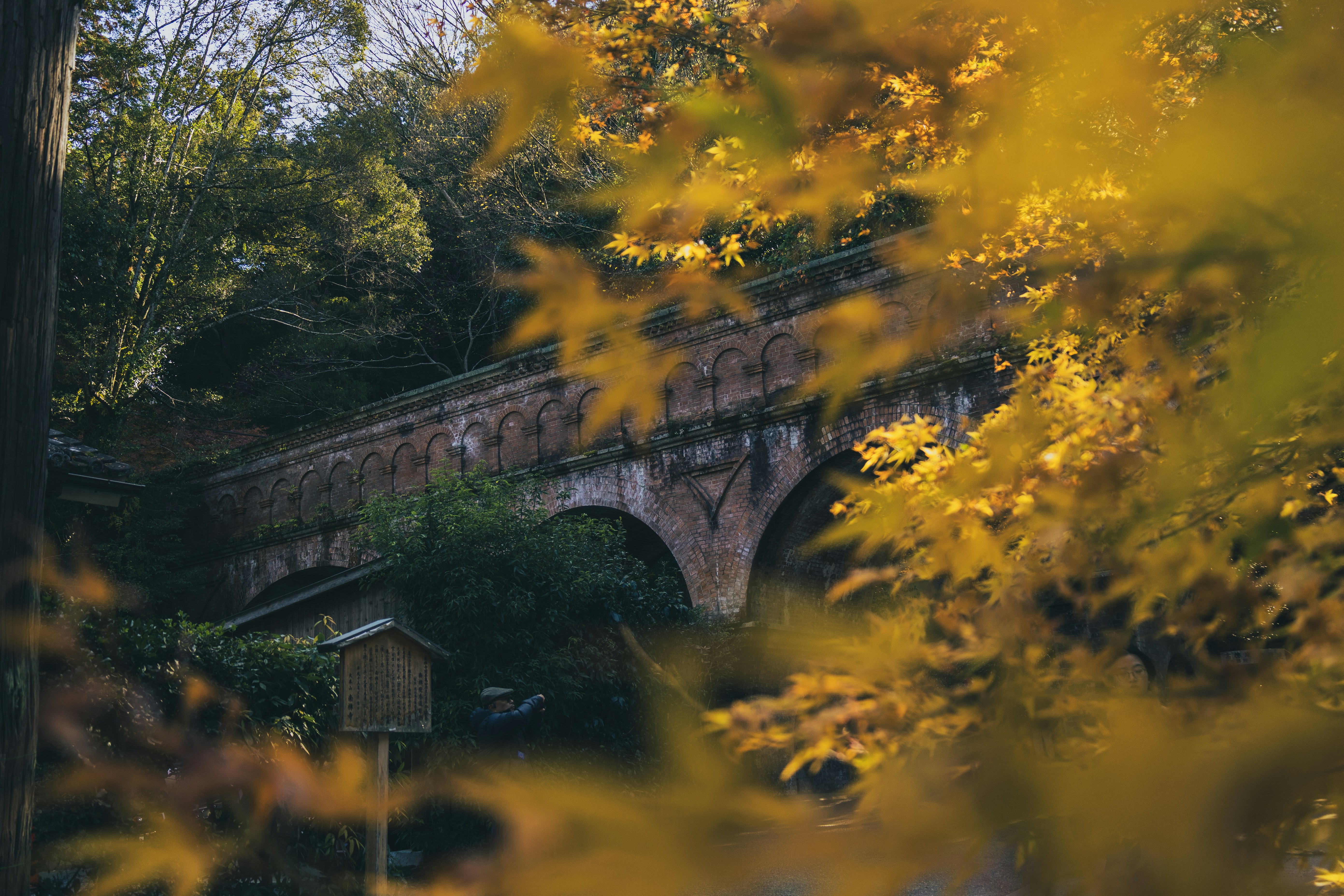 Autumn Arc: Sunlit Bricks Through Golden Leaves