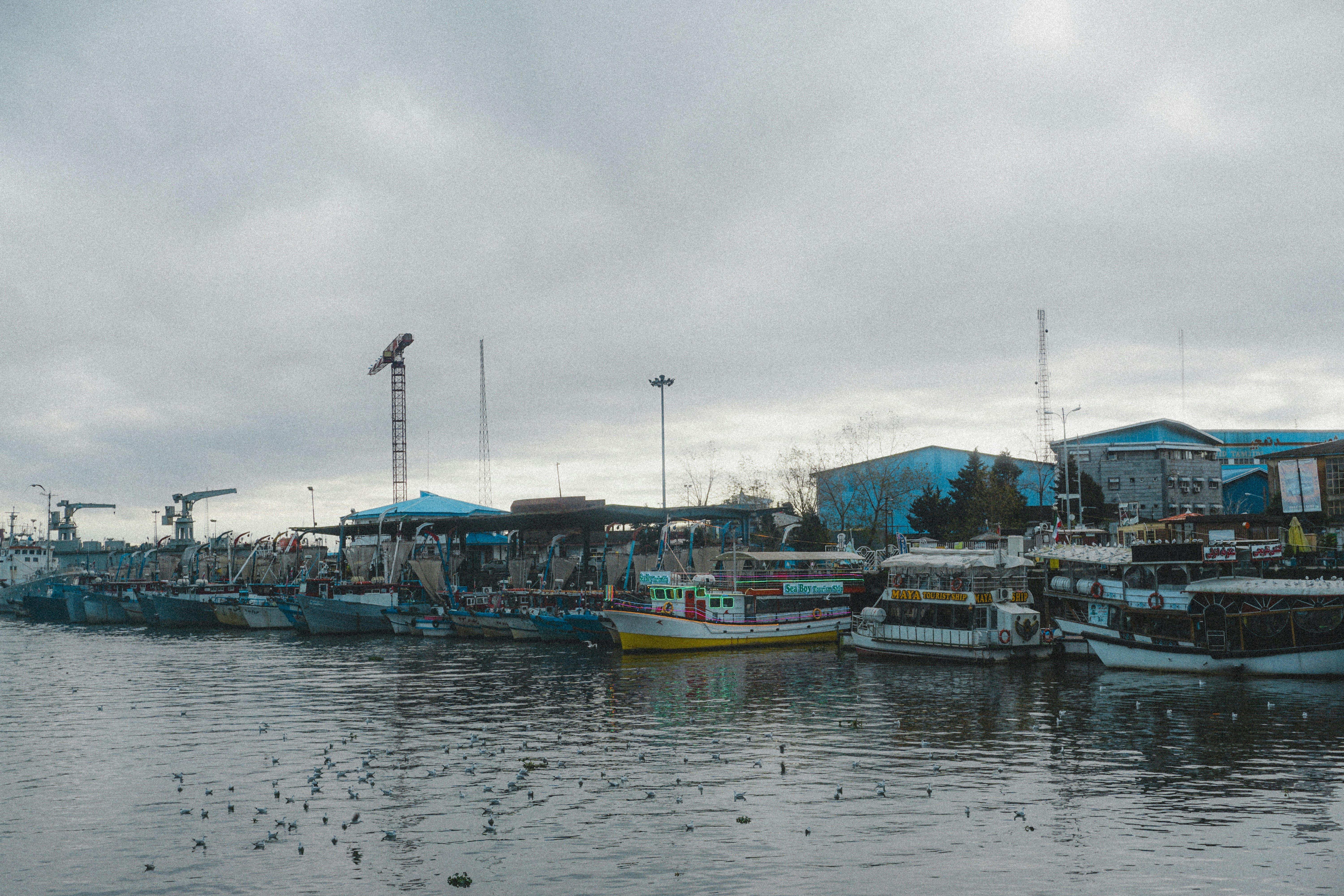 Harbor Row: Boats Lined Along a Grey Waterfront