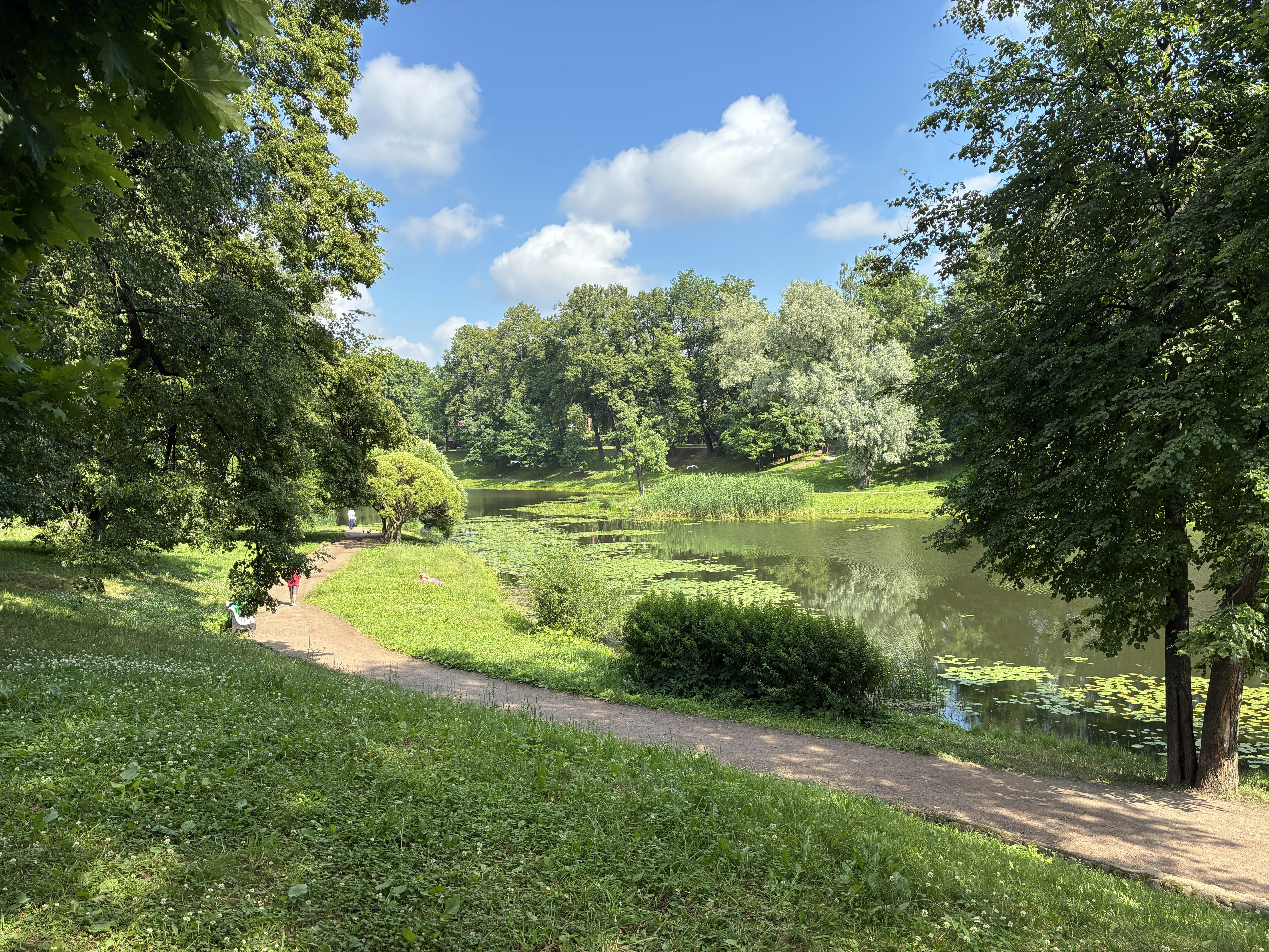 Sunlit path winds through a lush park toward a calm lake with lily pads and trees along the shore. A bright, blue sky with fluffy clouds completes the tranquil landscape.