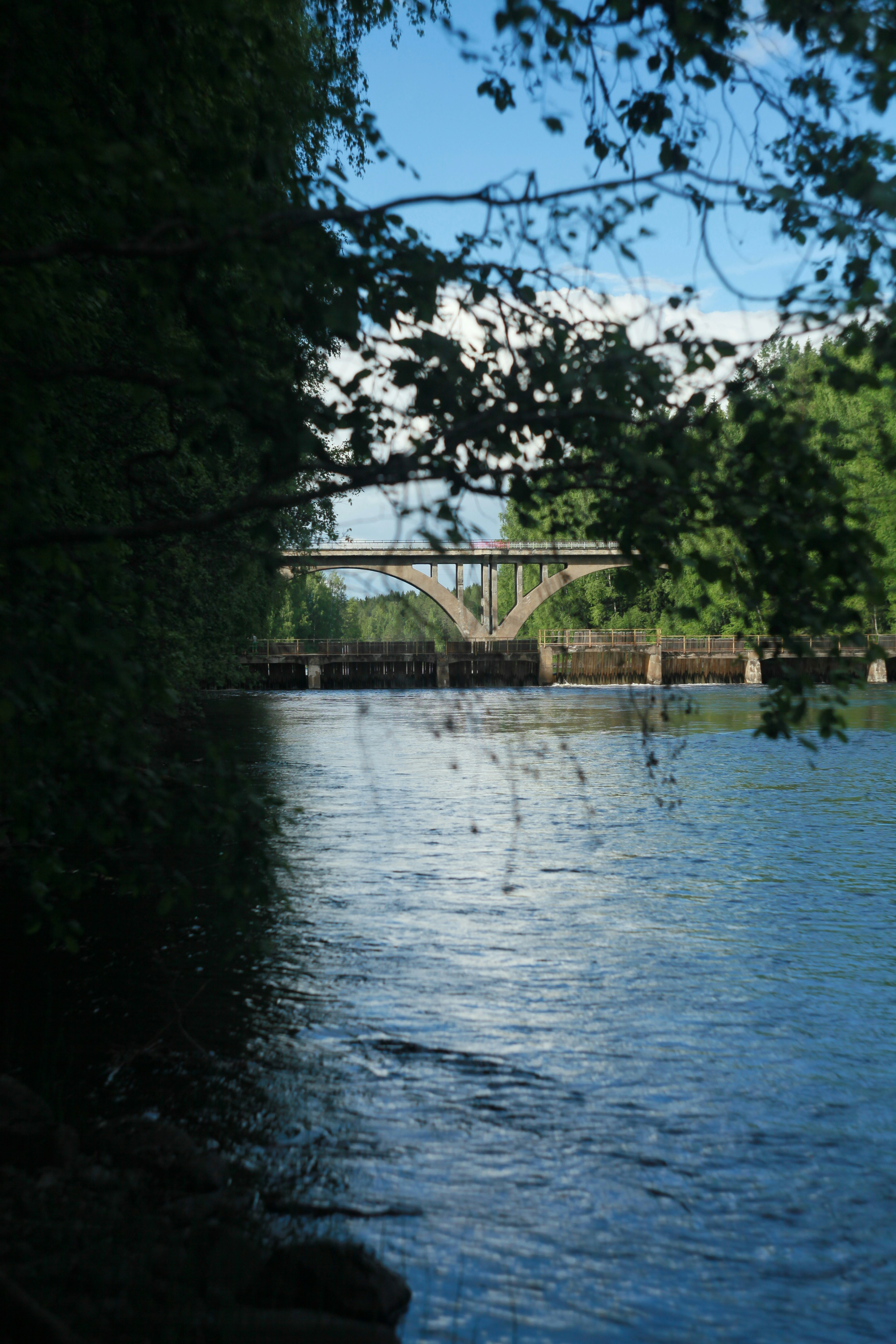 Arched Bridge Framed by Overhanging Leaves Over Quiet River