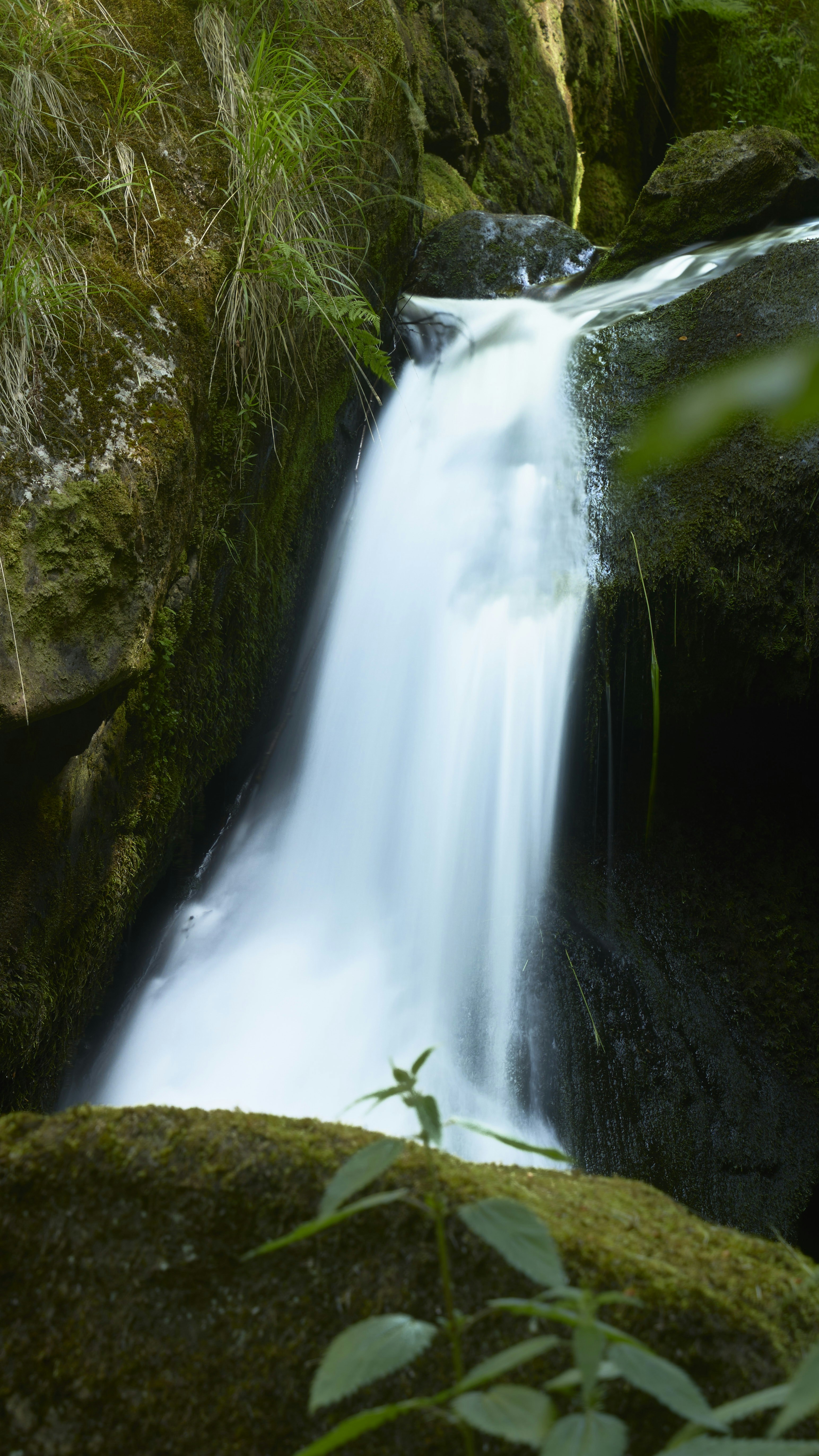 Whispering Cascade Between Moss‑Veiled Cliffs