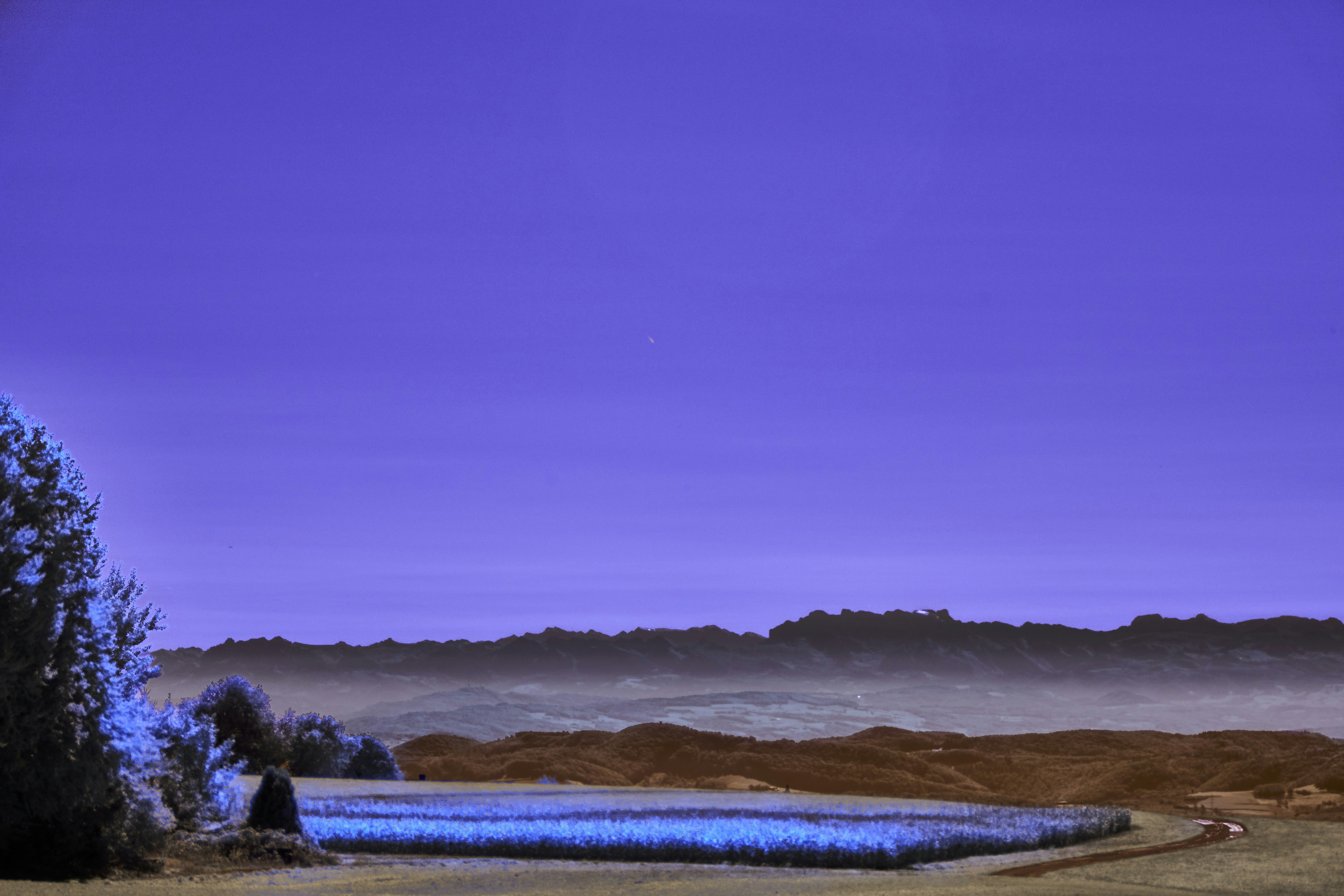 Purple Dusk Over a Curving Riverside Landscape