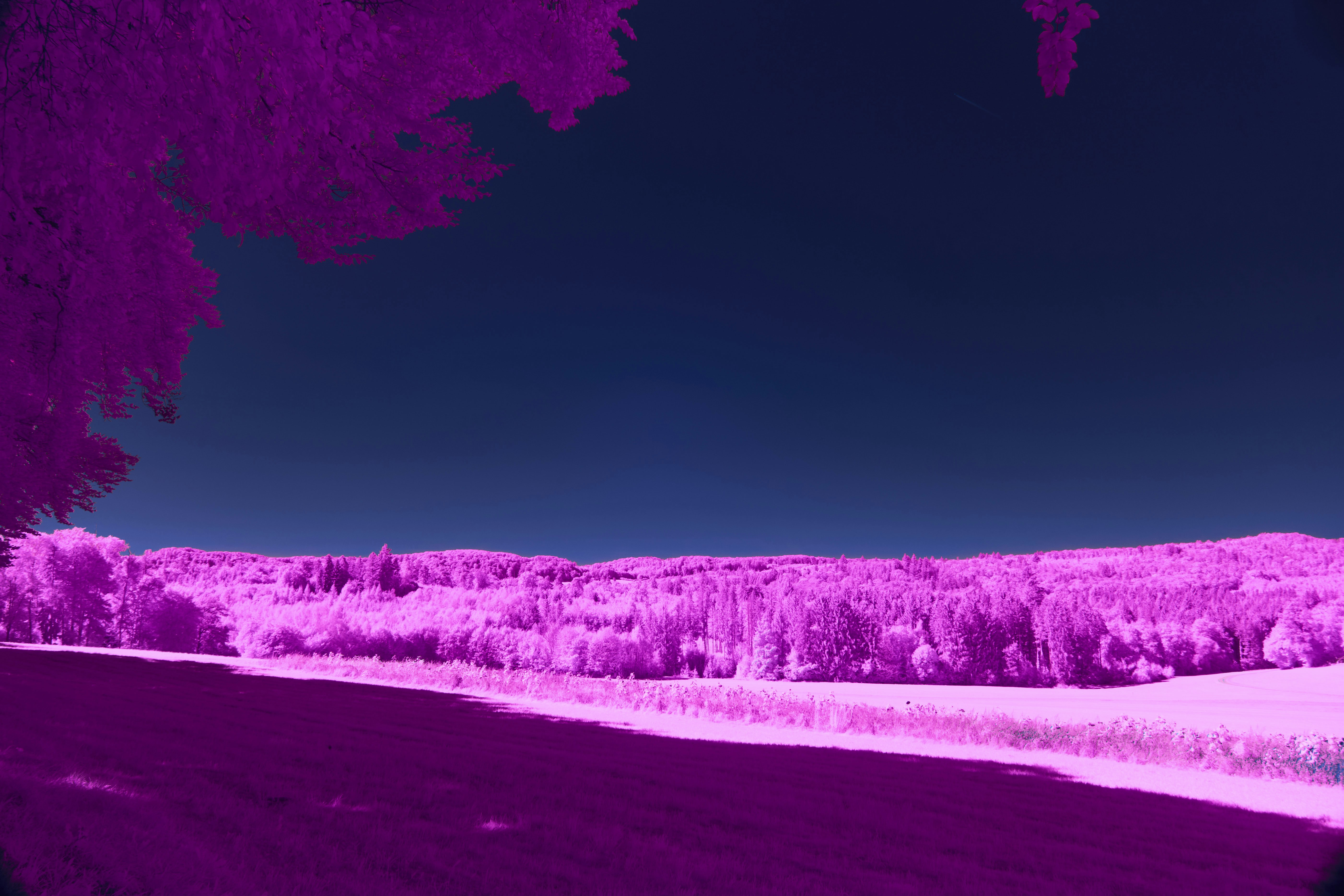 Infrared Riverbank in Neon Twilight