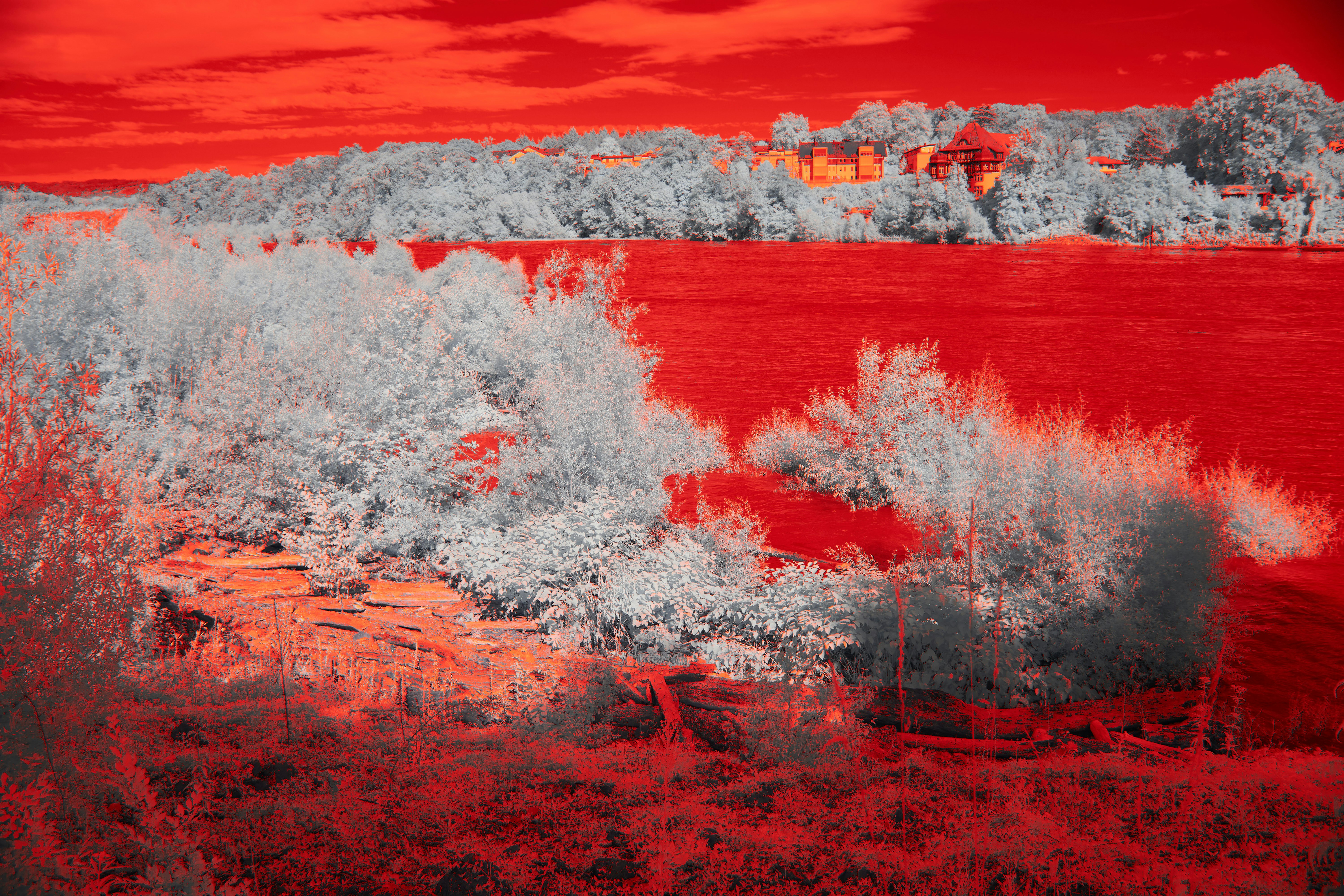 Red-Shifted Landscape: A Riverside Plantation Under an Ominous Sky
