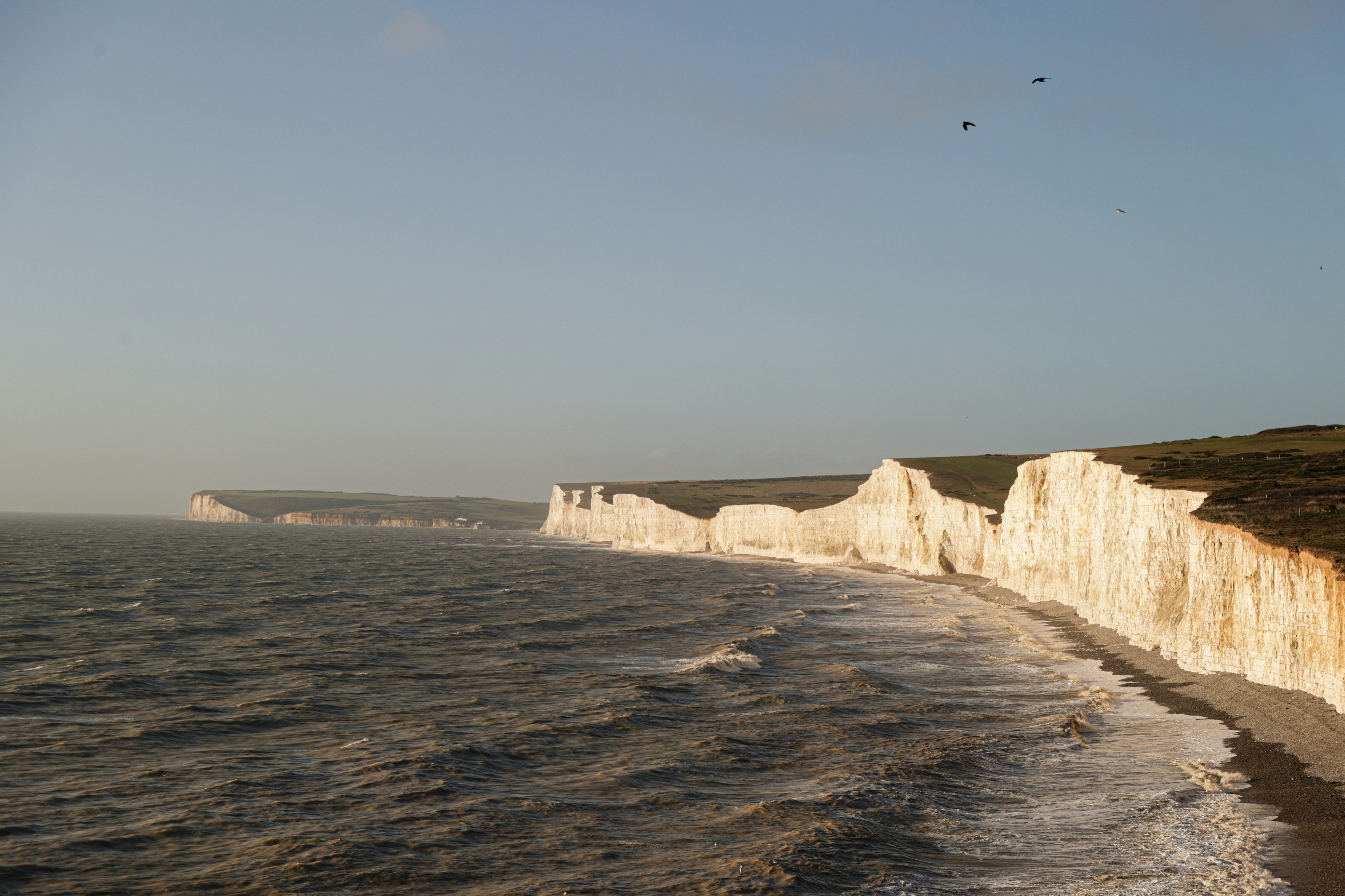 White chalk cliffs along a calm sea at low sun, with a pebbled shoreline and faint birds in the sky. A coastal landscape emphasizing texture and horizon line.