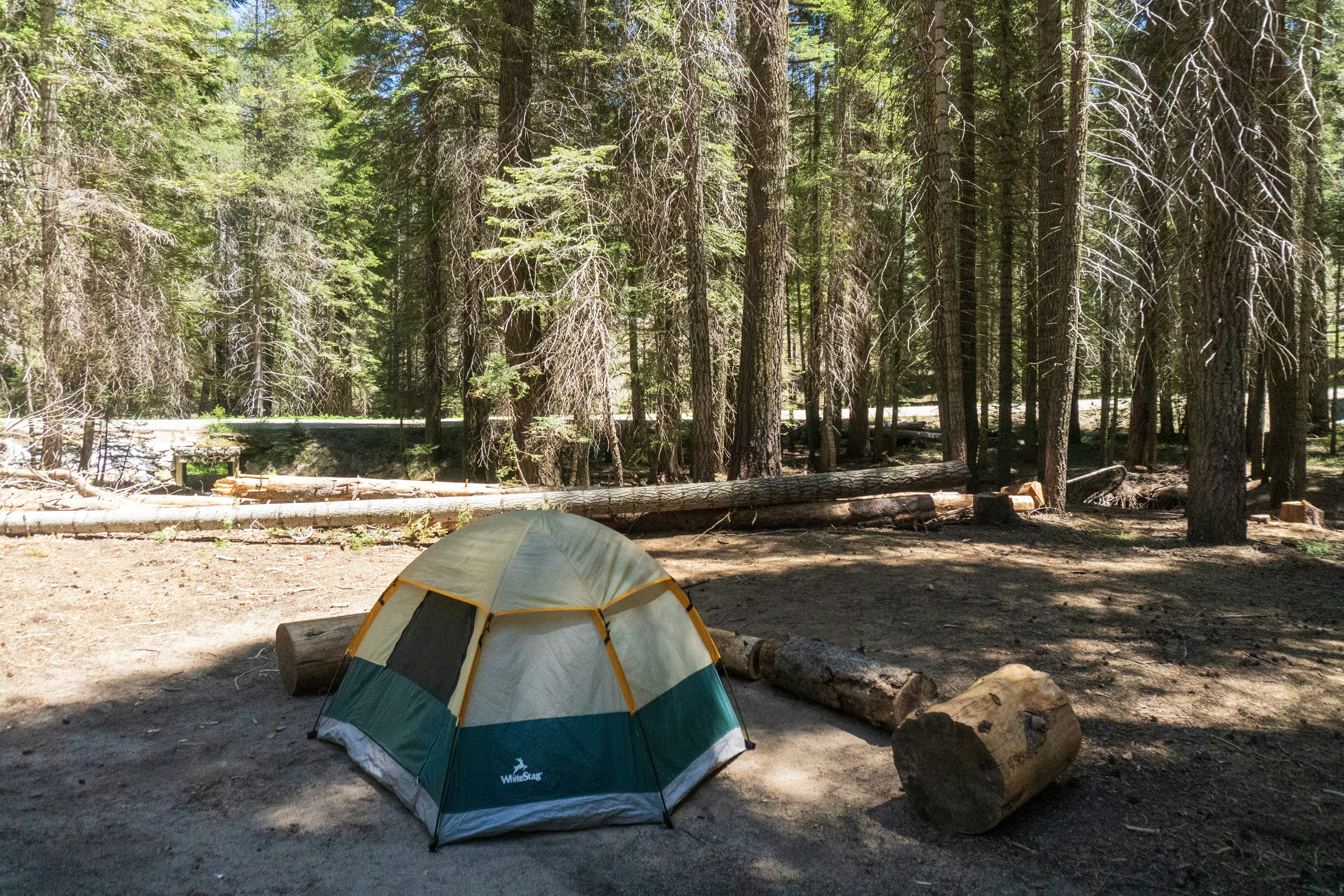 Camp Nightfall: A Dimensional Teal-Tan Shelter Beneath Pine Skies