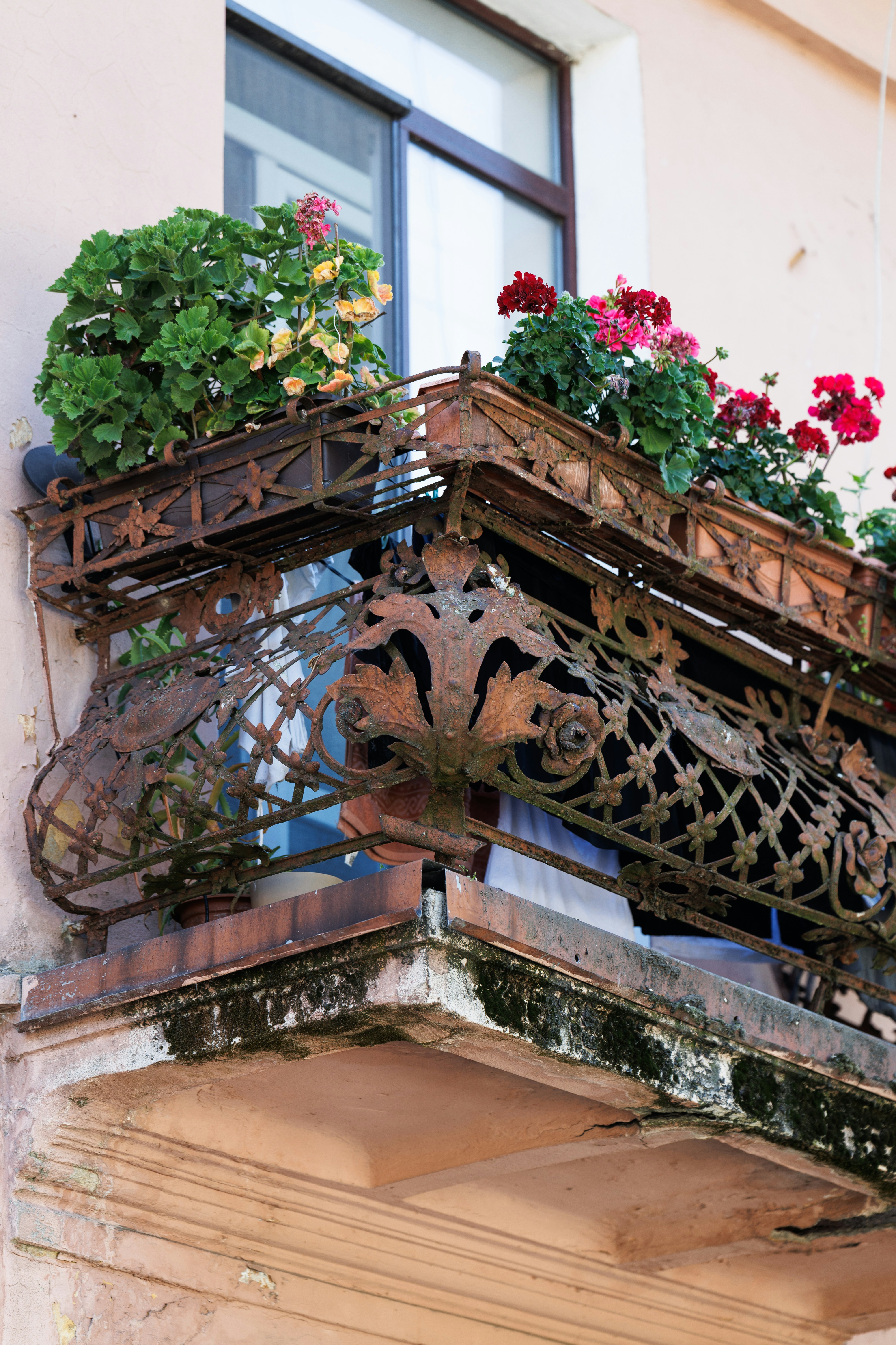Rusty Balcony Garden Overhang with Flaming Geraniums