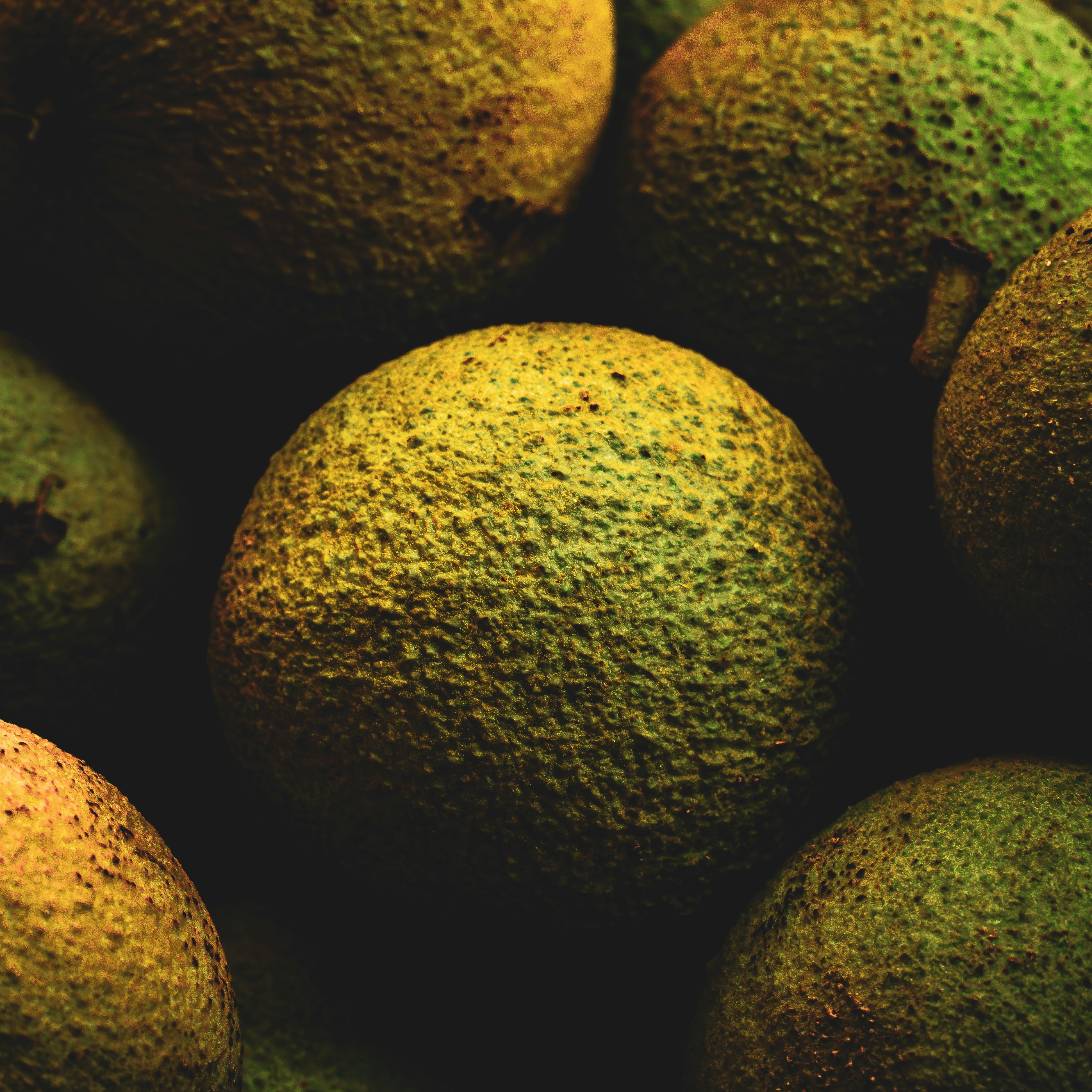 Dusty Green Orbs: Close-Up of Mellow Texture