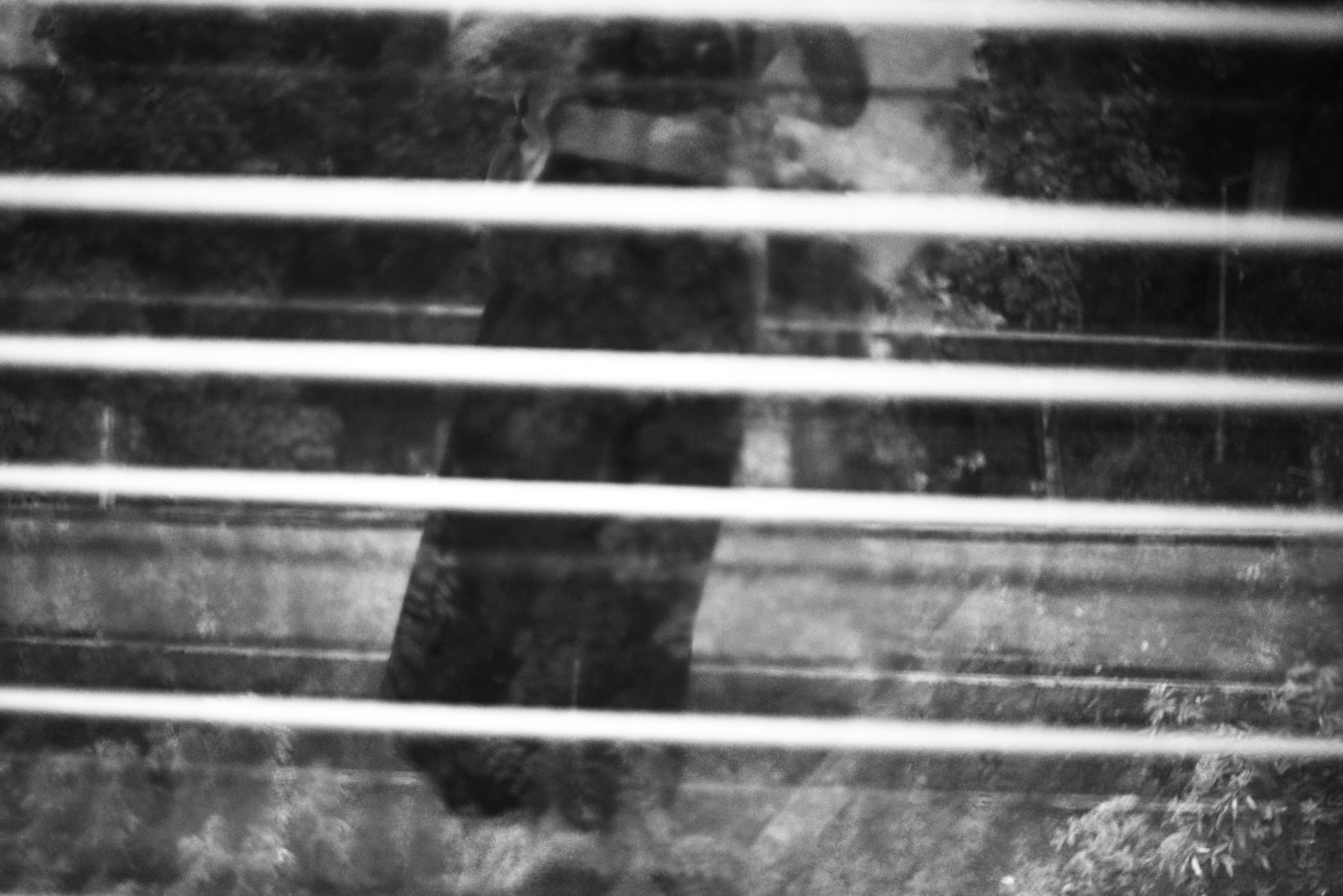 Shadowy figure behind horizontal blinds, monochrome texture suggesting motion and mystery, likely an abstract or candid scene.