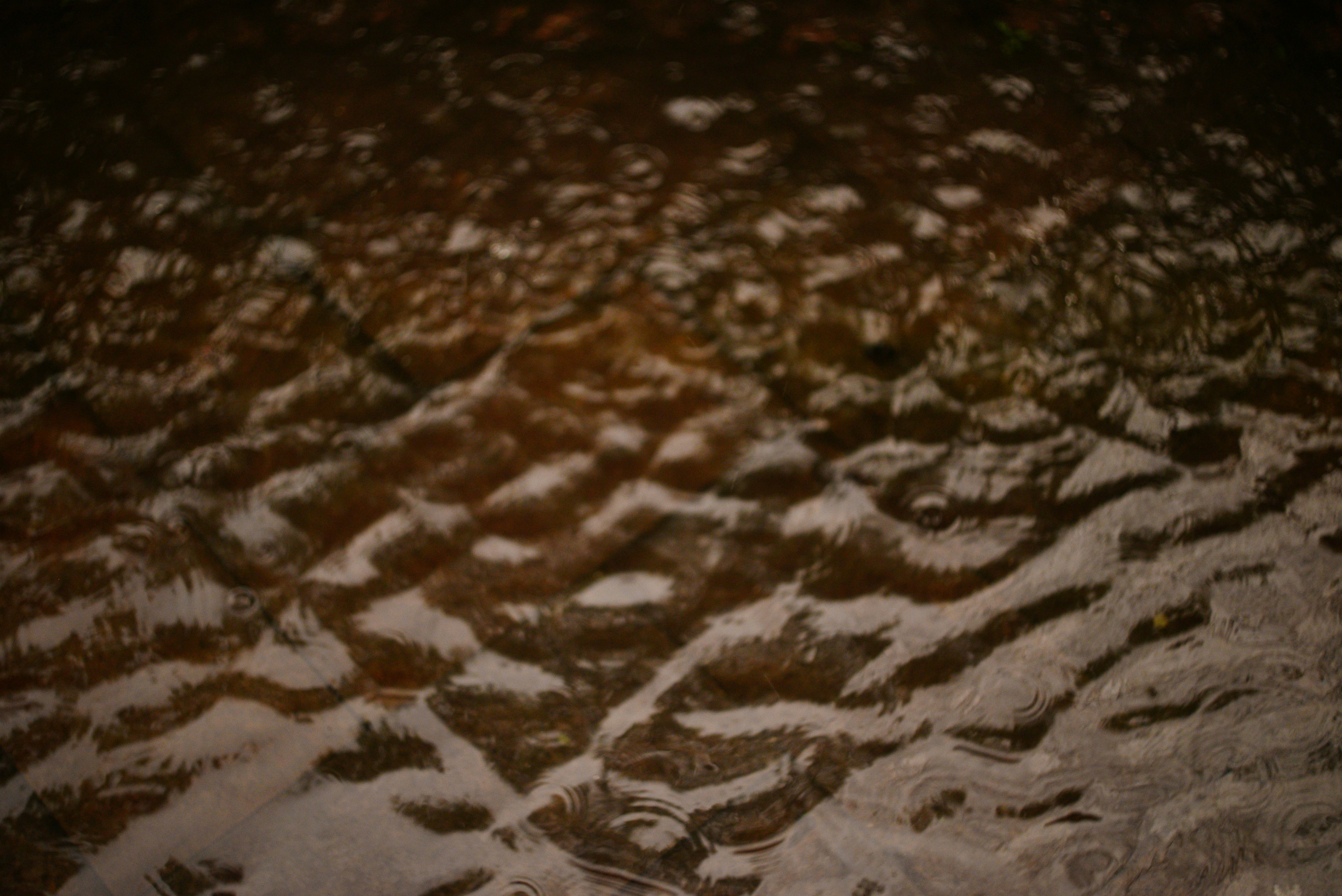 Ripple Traces in Twilight Mud
