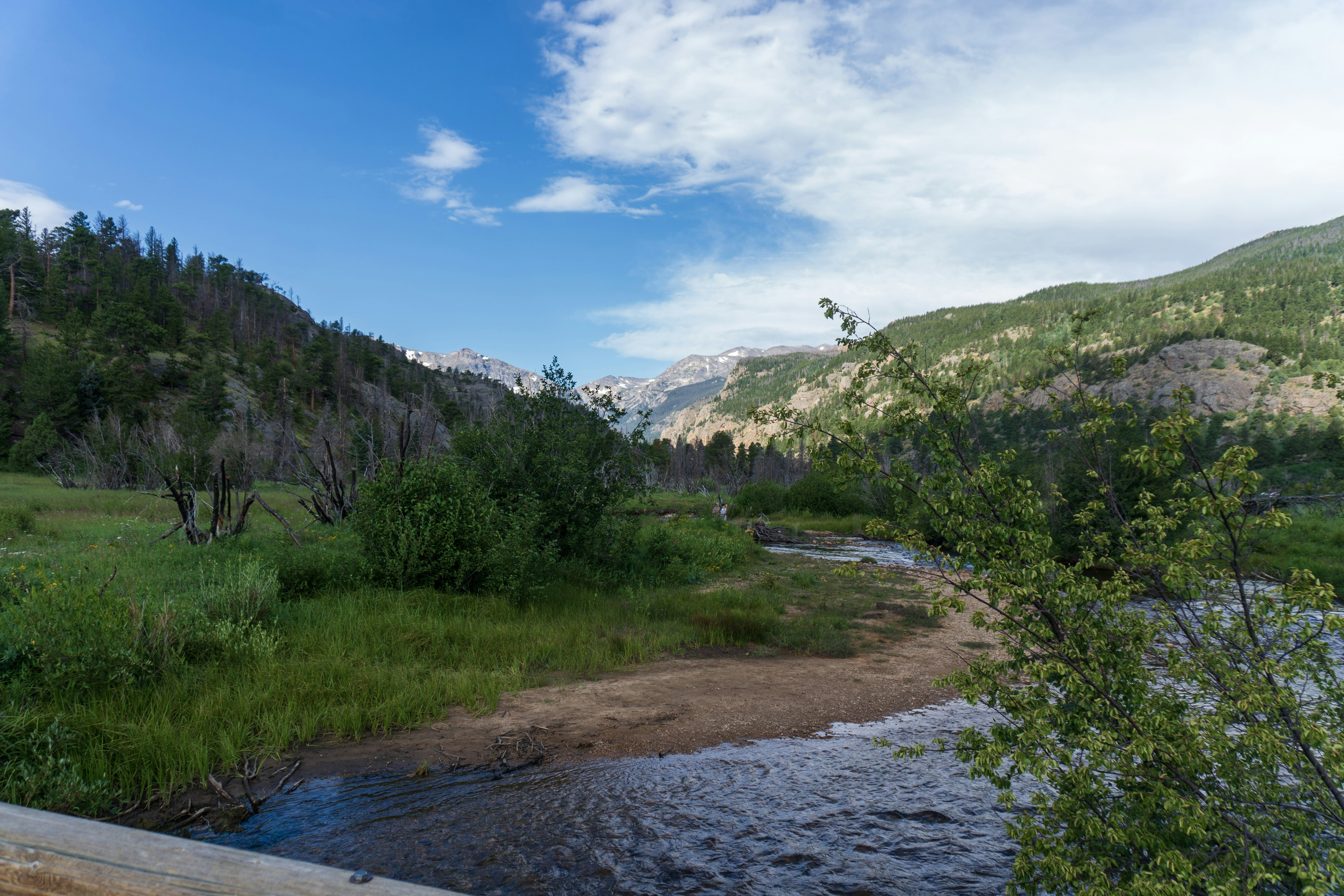 Lush river bend winds through a meadow with trees, leading toward distant mountains under a blue sky.