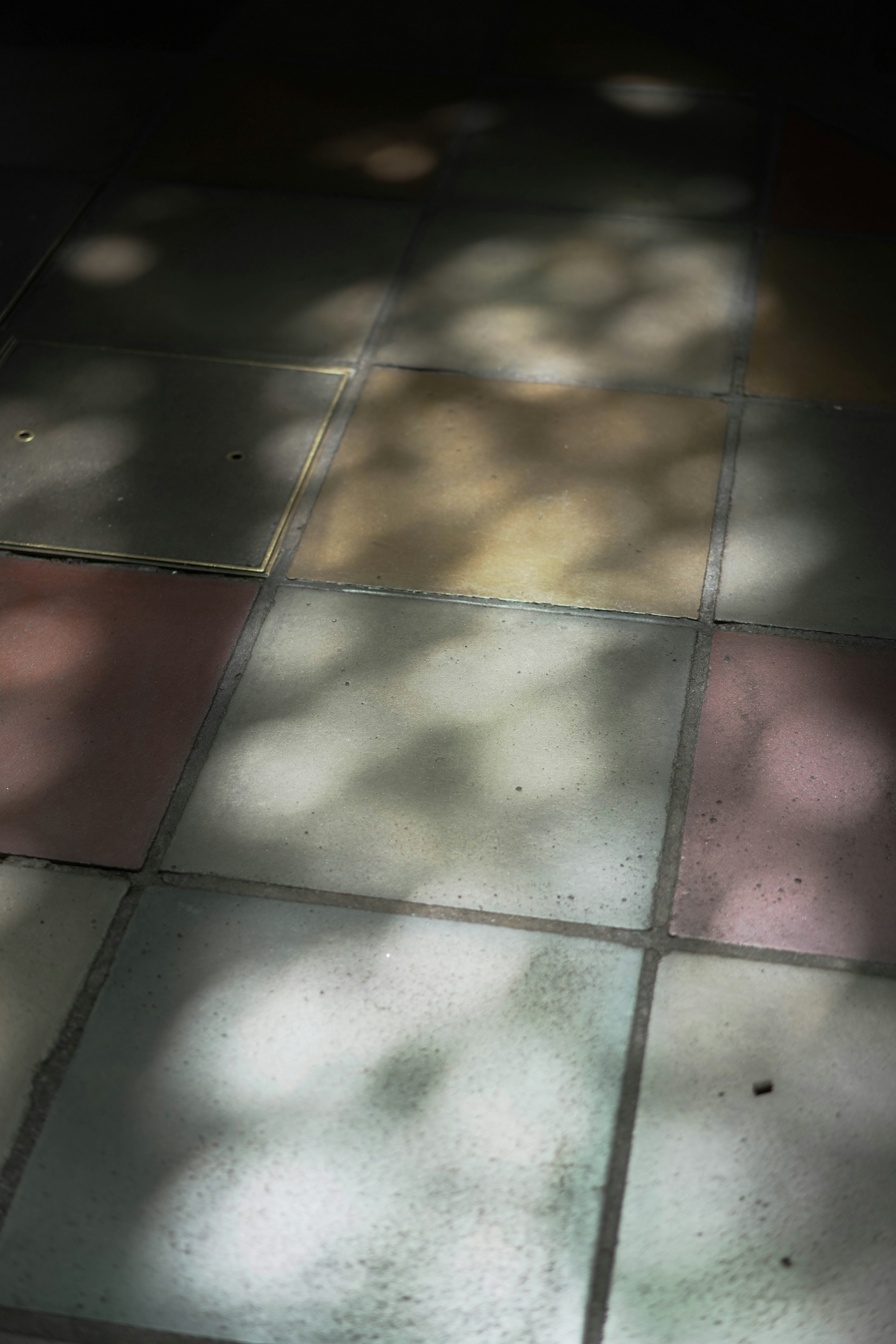 Dappled Sunlight on Multicolored Tile Path