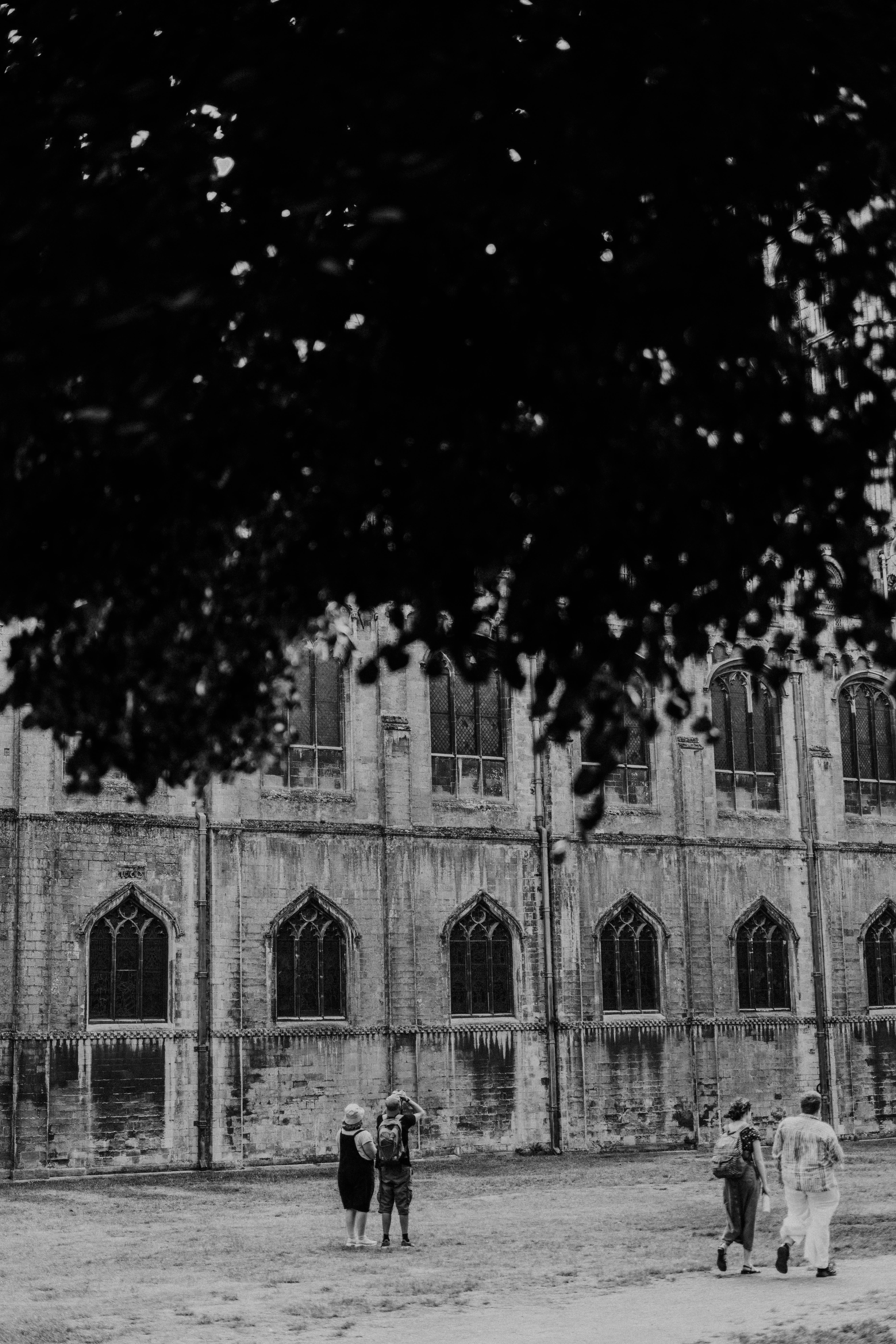Silhouetted Gables: A Quiet Courtyard Beyond the Arched Windows