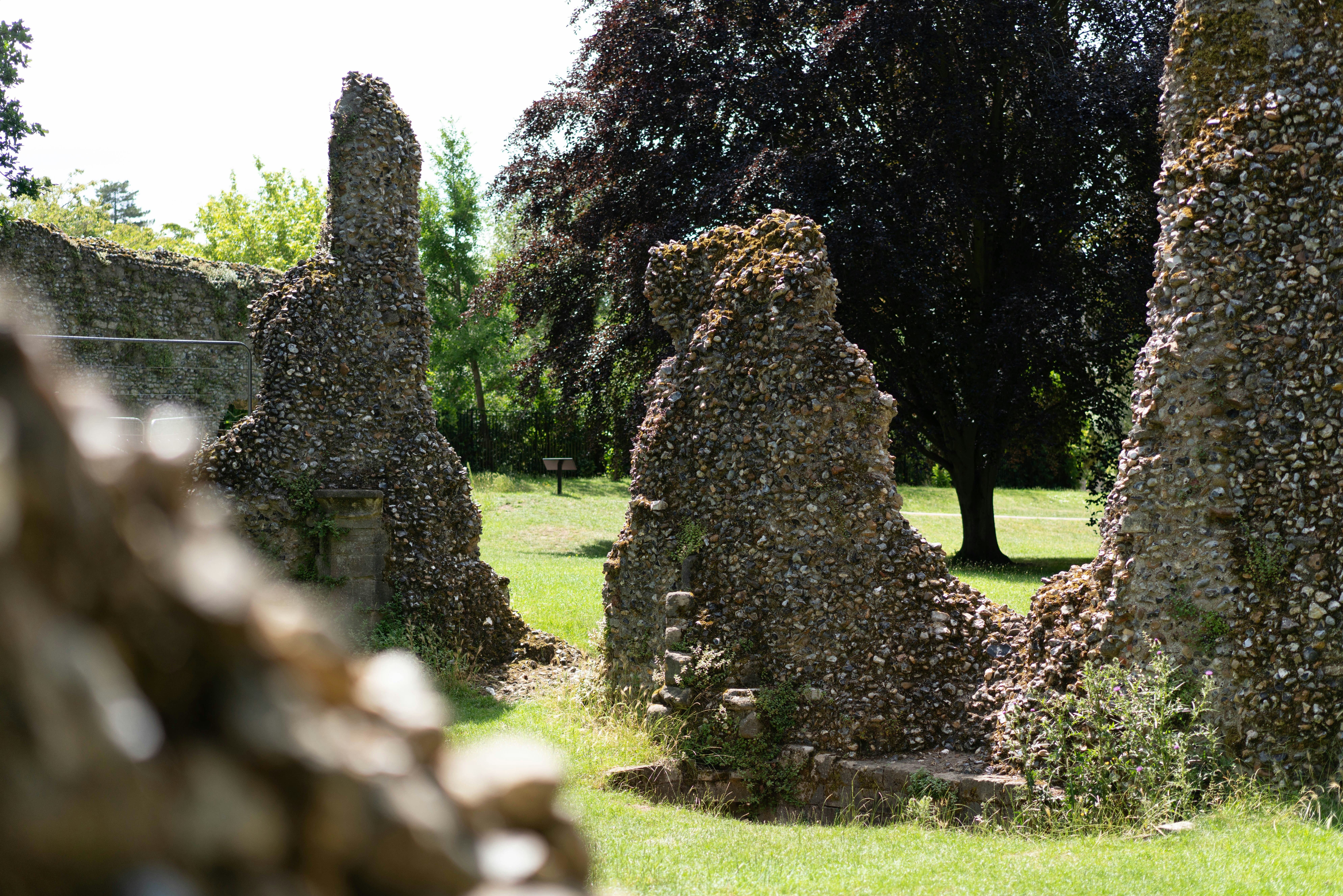 Ruins in a Sunlit Park: Moss-Clad Pillars Framed by Weeping Trees