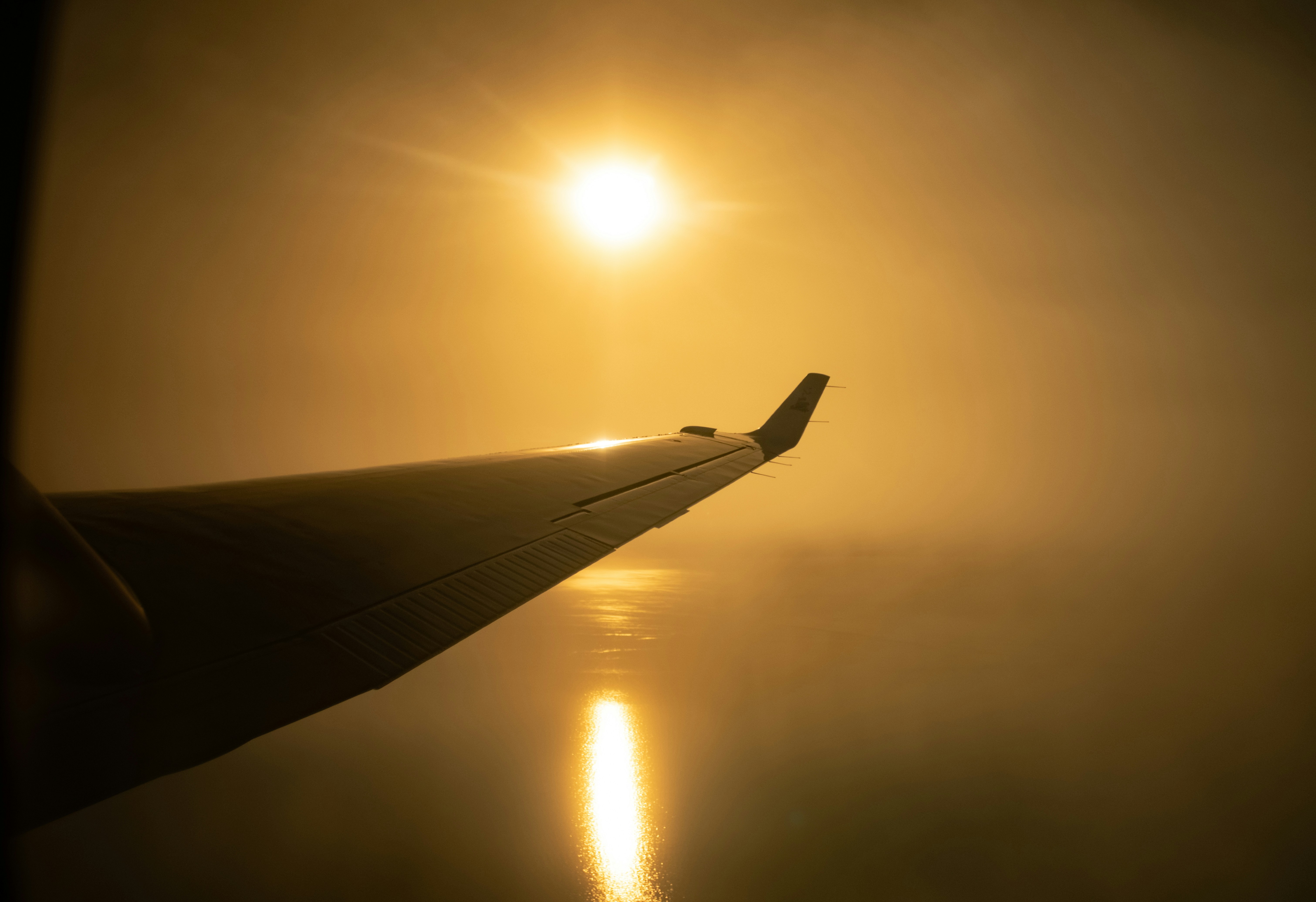 Sunlit Wing: The Golden Glide Across Quiet Skies