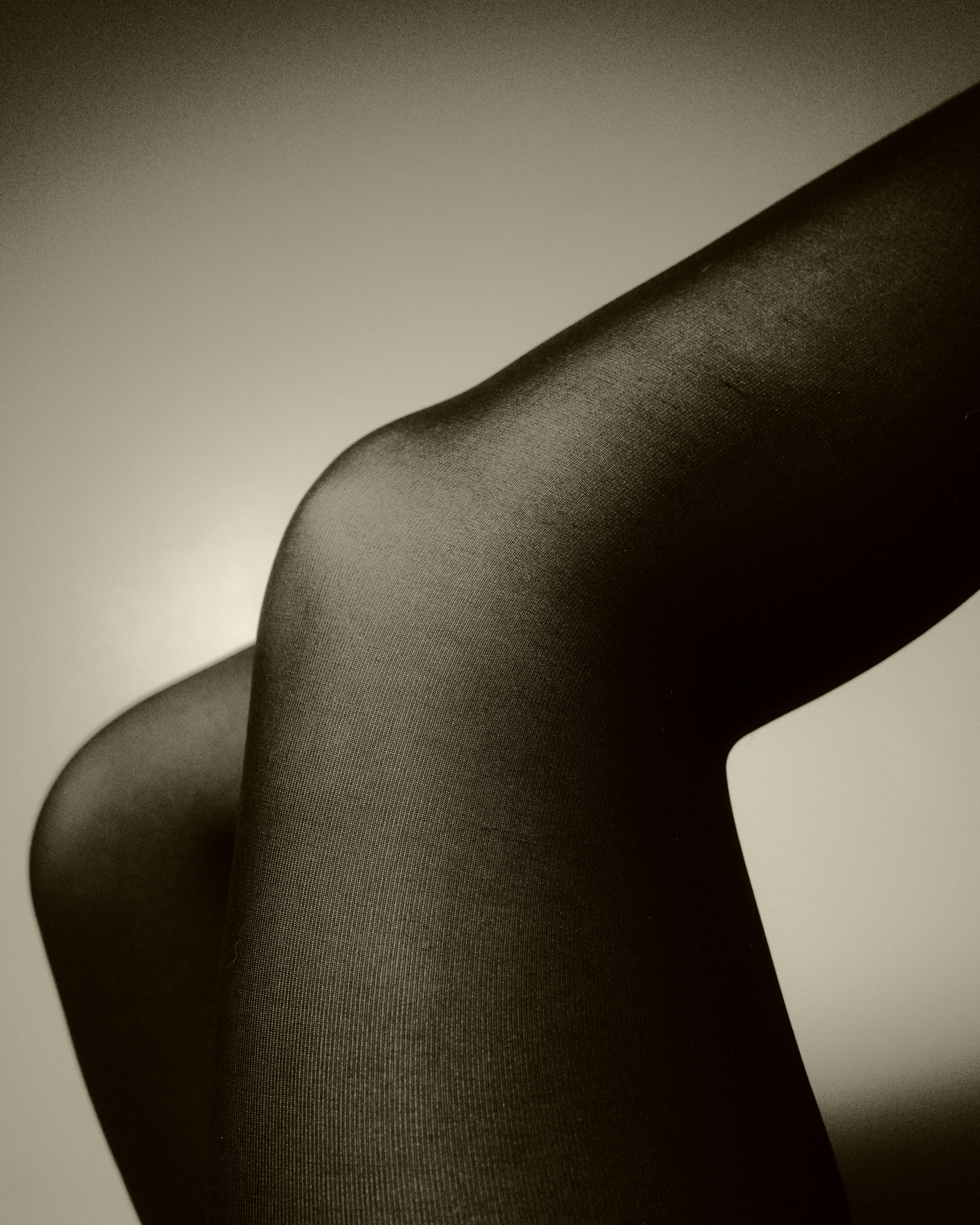 Curved Form in Sepia: A Minimal Portrait Emphasis