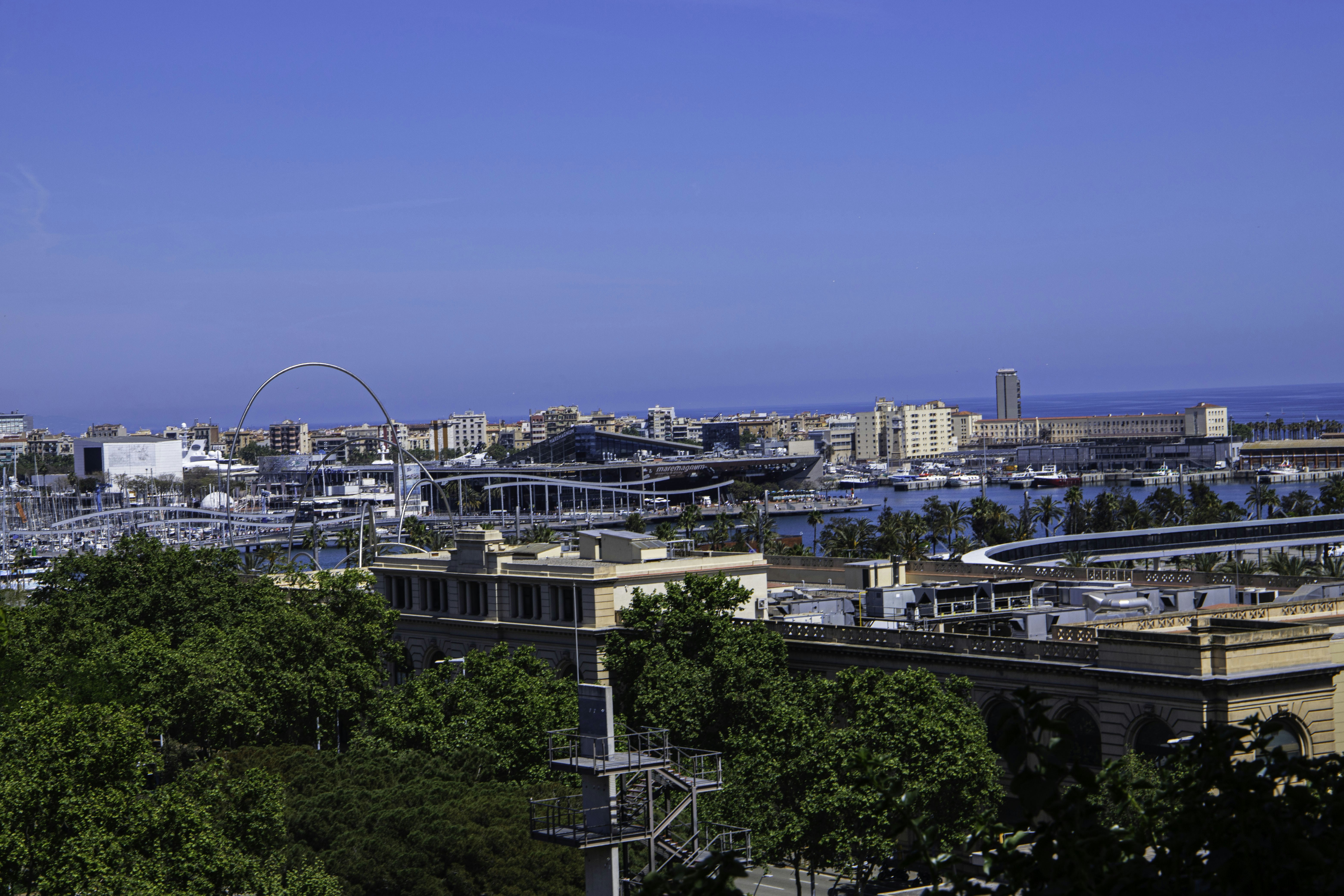 Harbor City Horizon: A Sunlit Marine Urban Tapestry