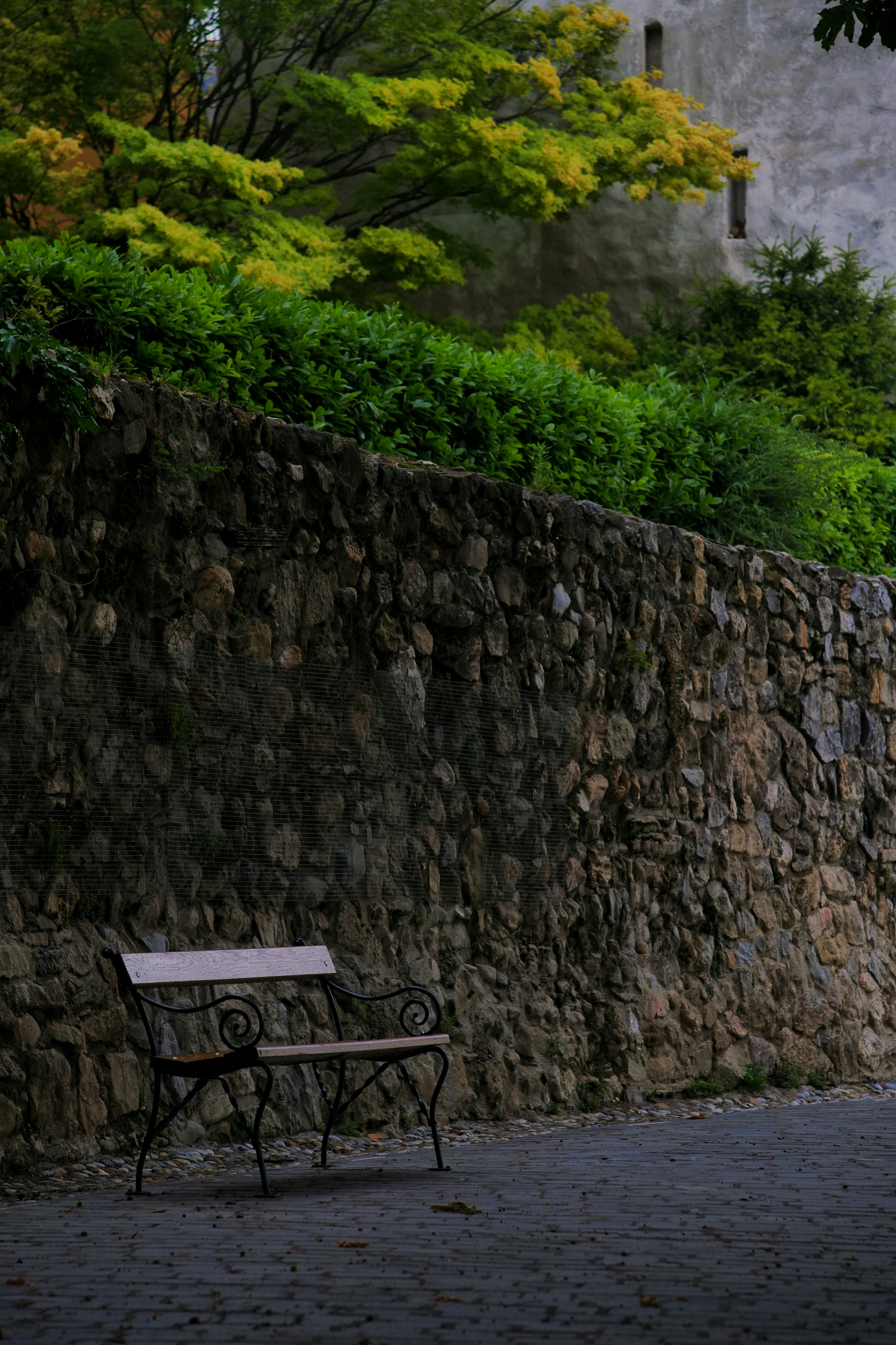 Lonely bench along a mossy stone wall beneath autumn-green foliage