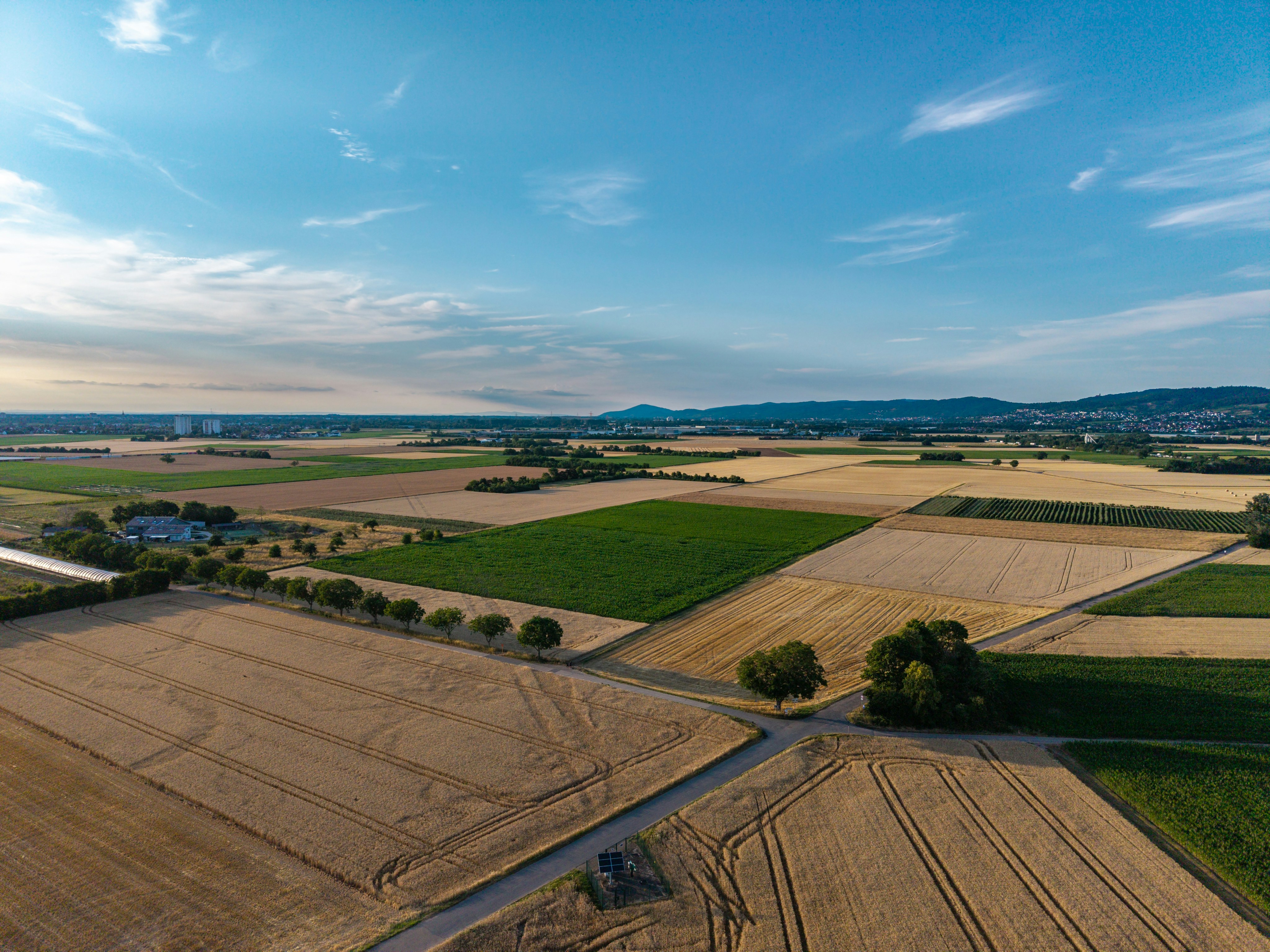 Fields in Quiet Harmony: Aerial Tapestry Across Farmlands