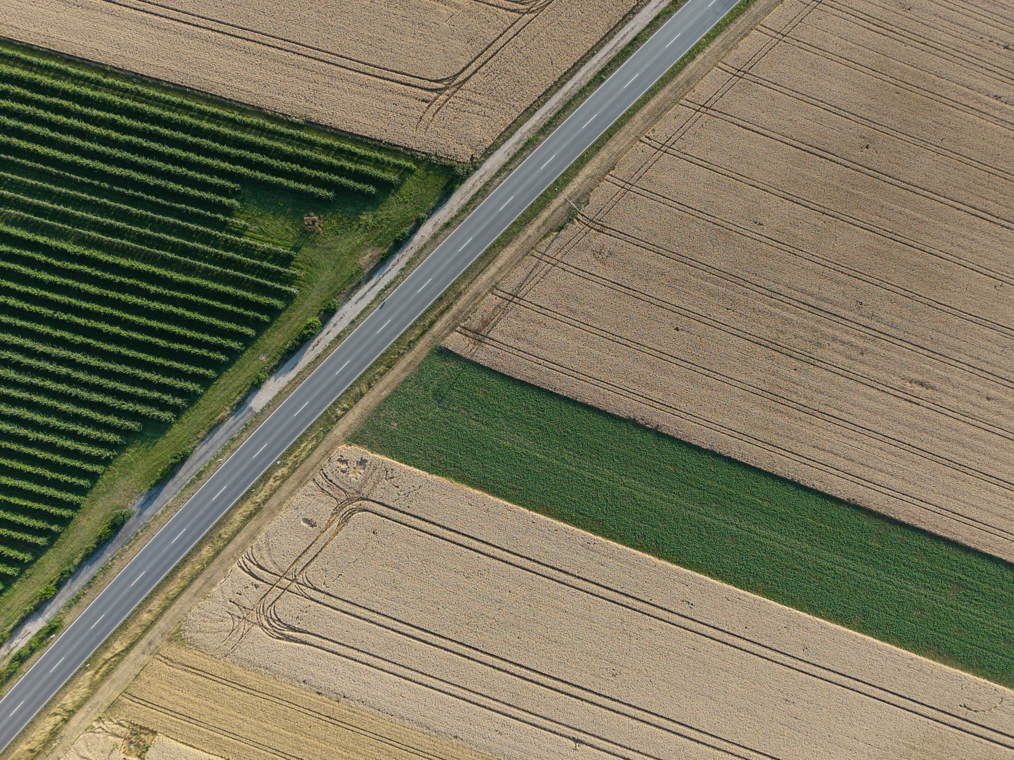 Aerial Crossroads: Fields Divided by a Quiet Highway
