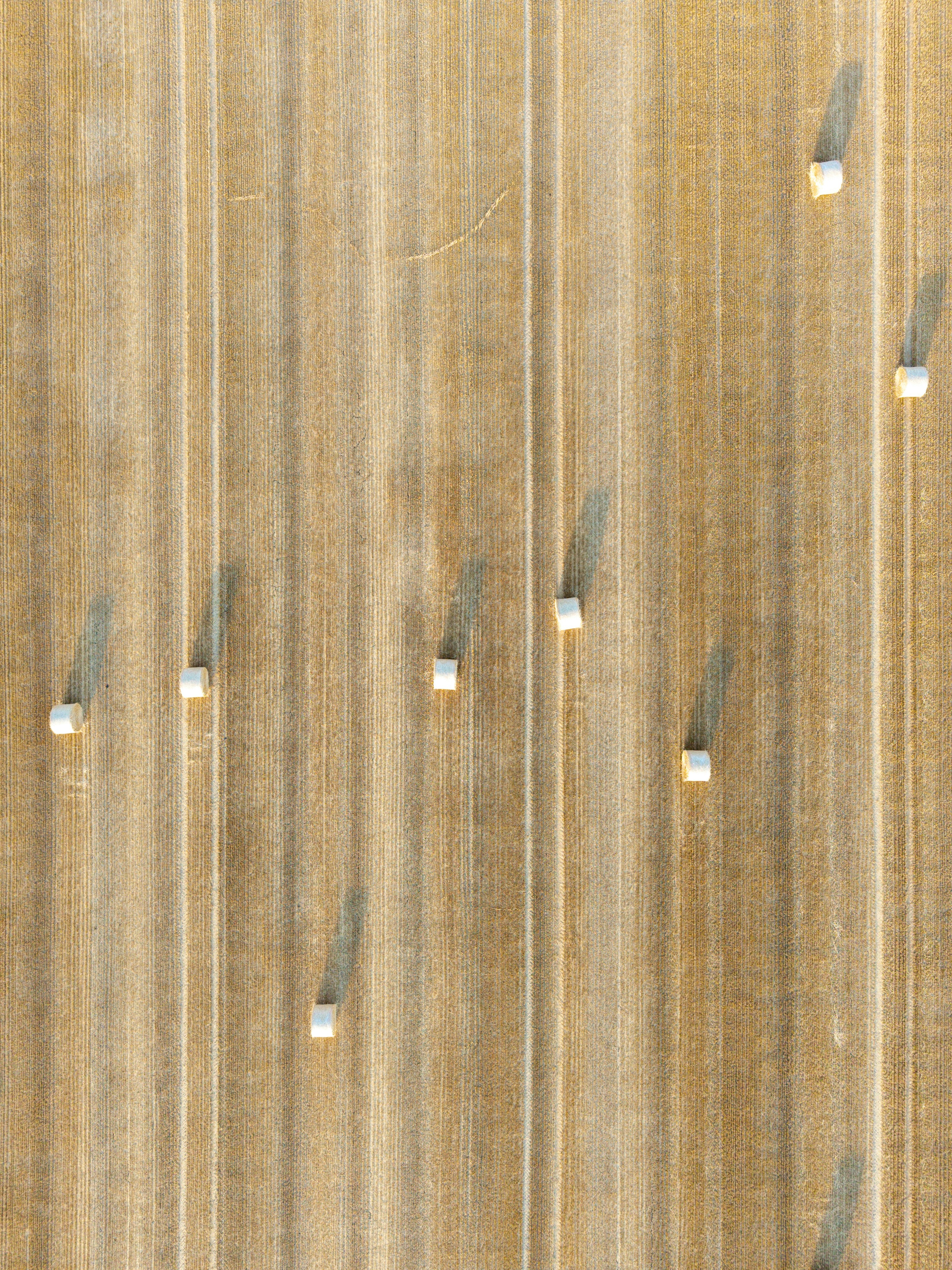 Aerial Field Rhythm: Strips and Shaded Rows in a Harvest Field