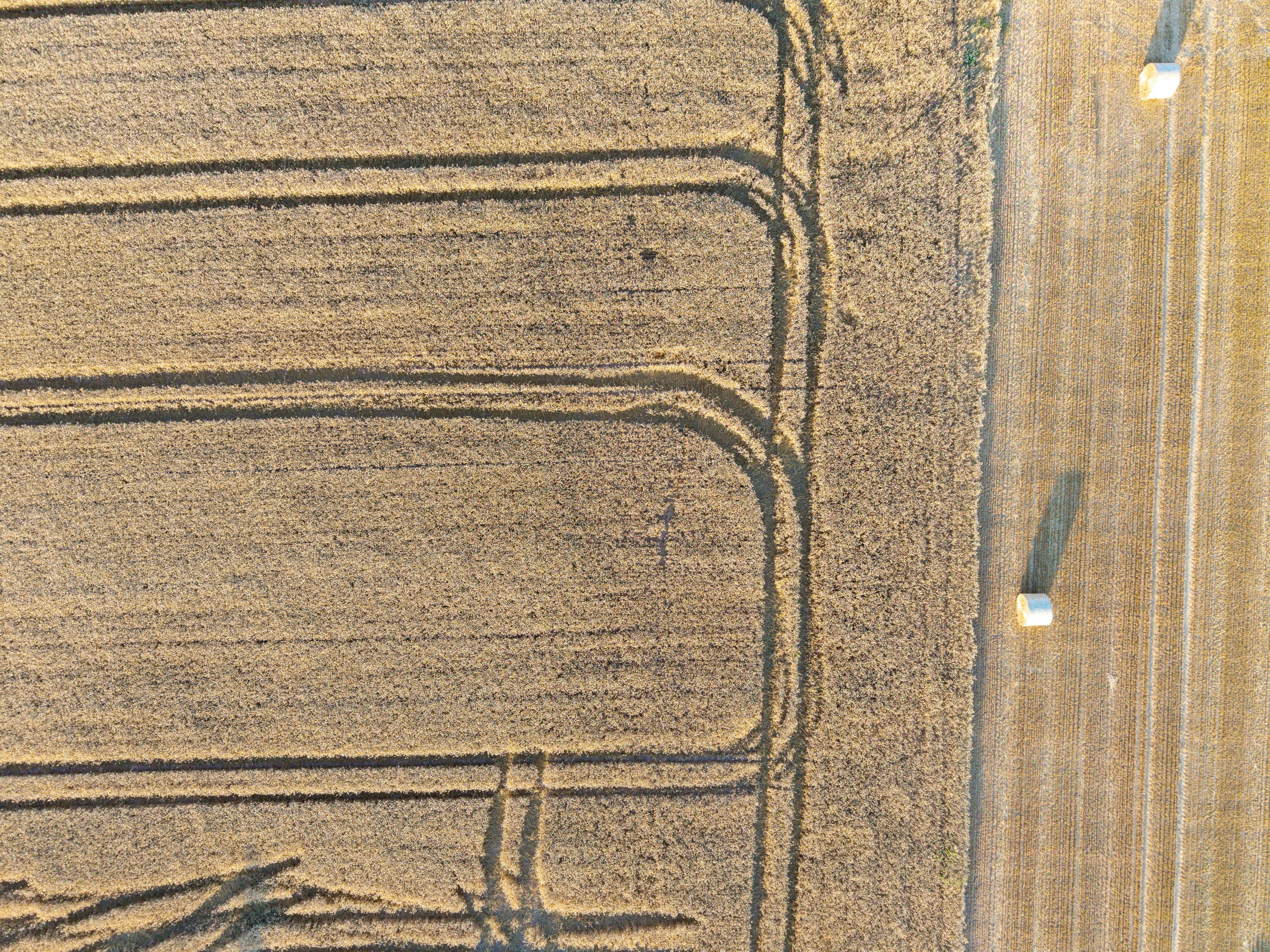Aerial view of harvest fields meeting a rural road
