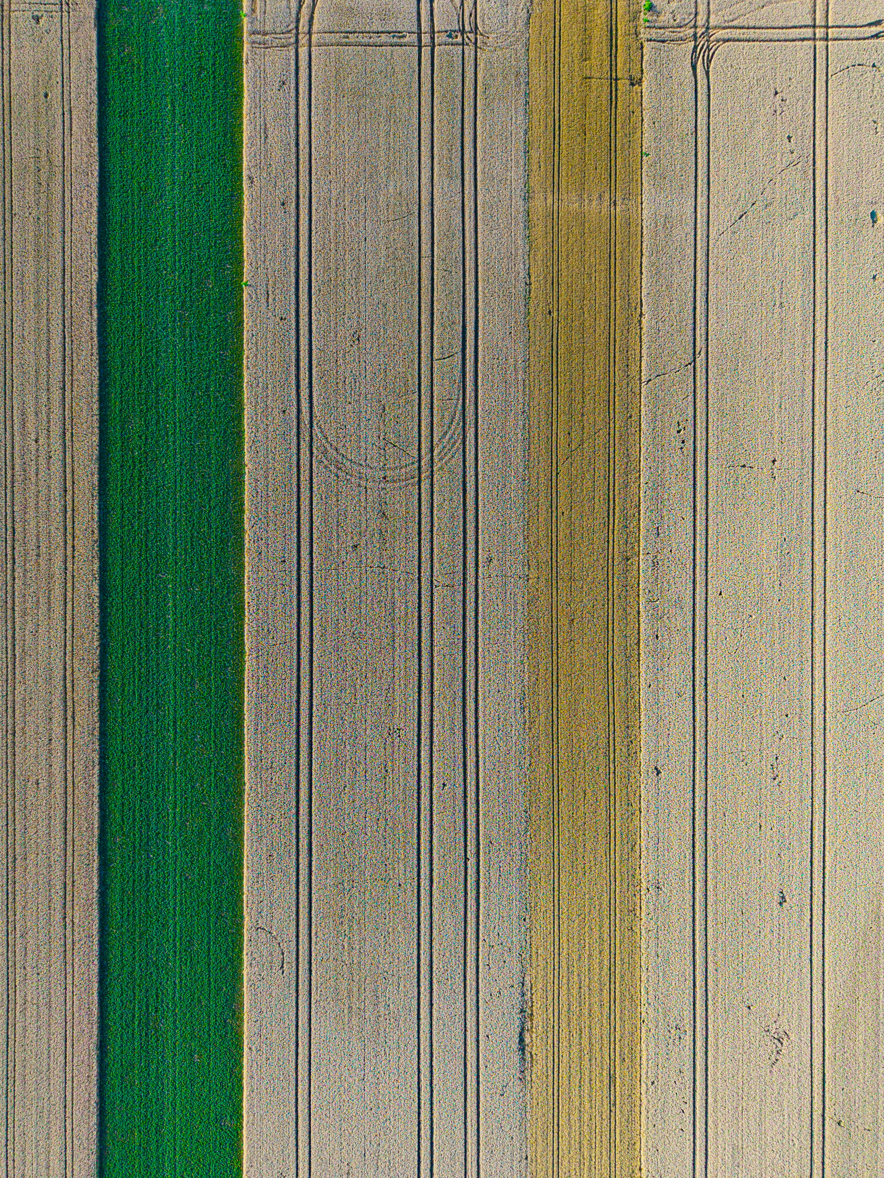 Vivid Crop Stripes: Aerial Bands Across the Field