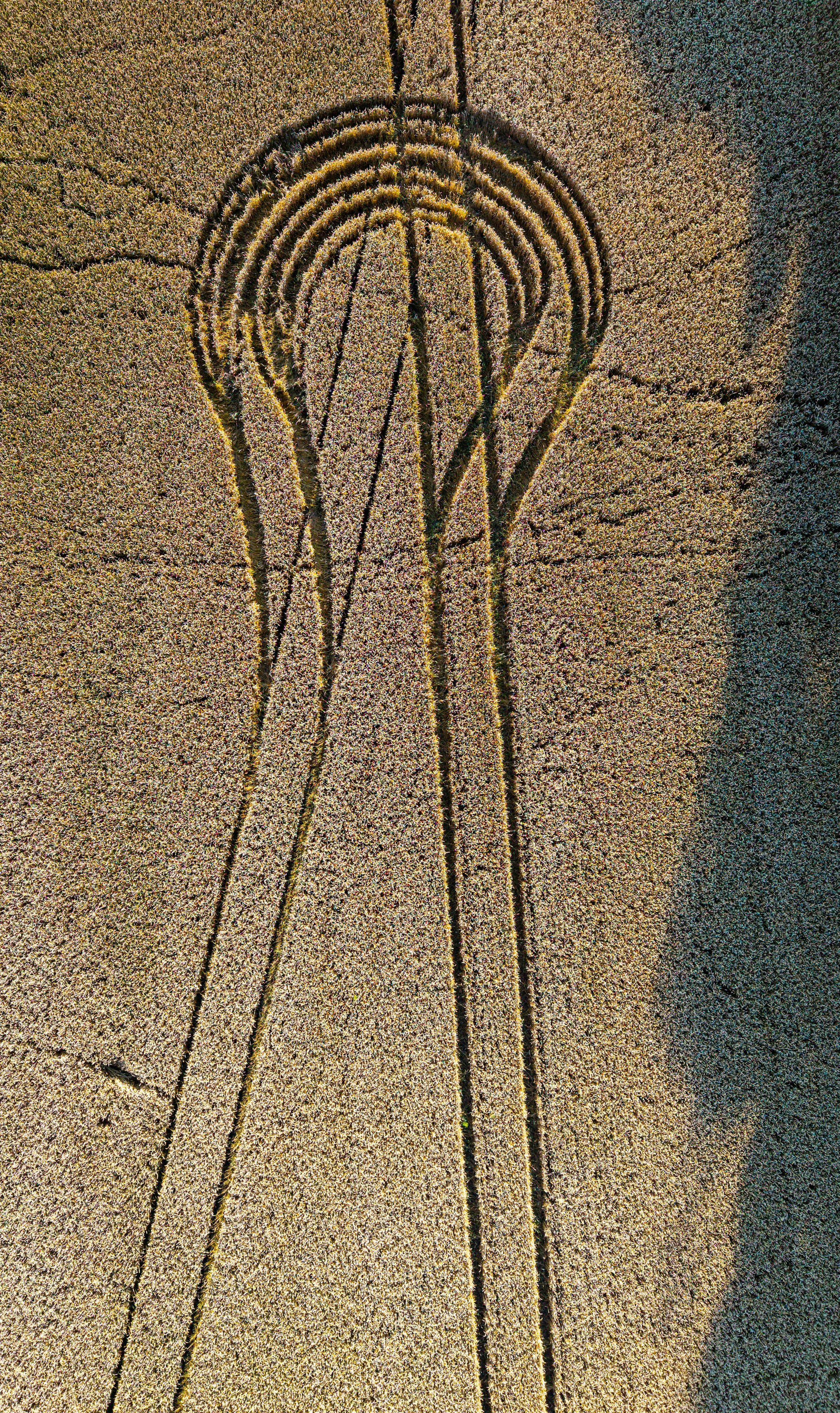 Concentric Ring Spike Mark on Dune Sand