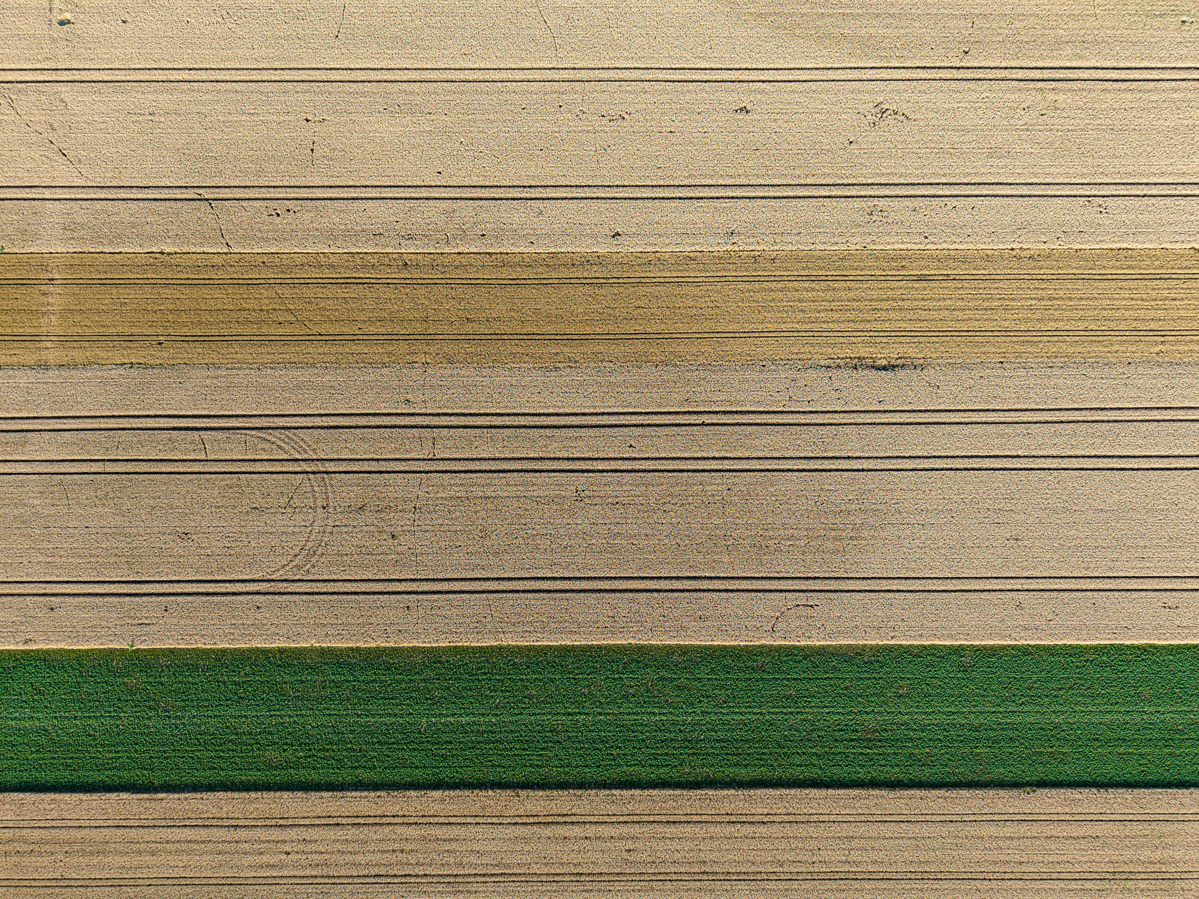 Horizontal Strata: Aerial Lines and Color Blocks