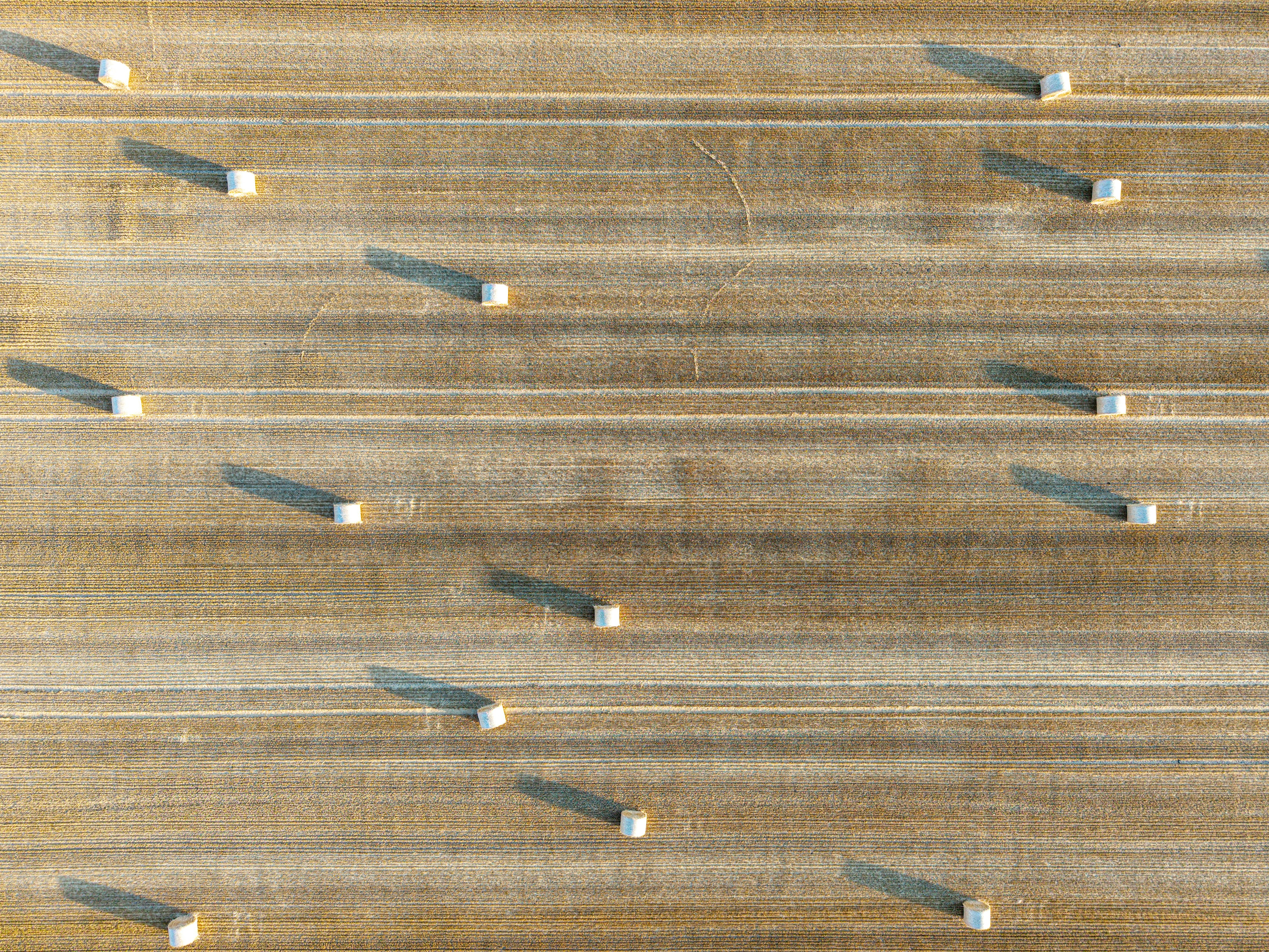 Sunlit runway lines: fields of golden tracks casting long shadows