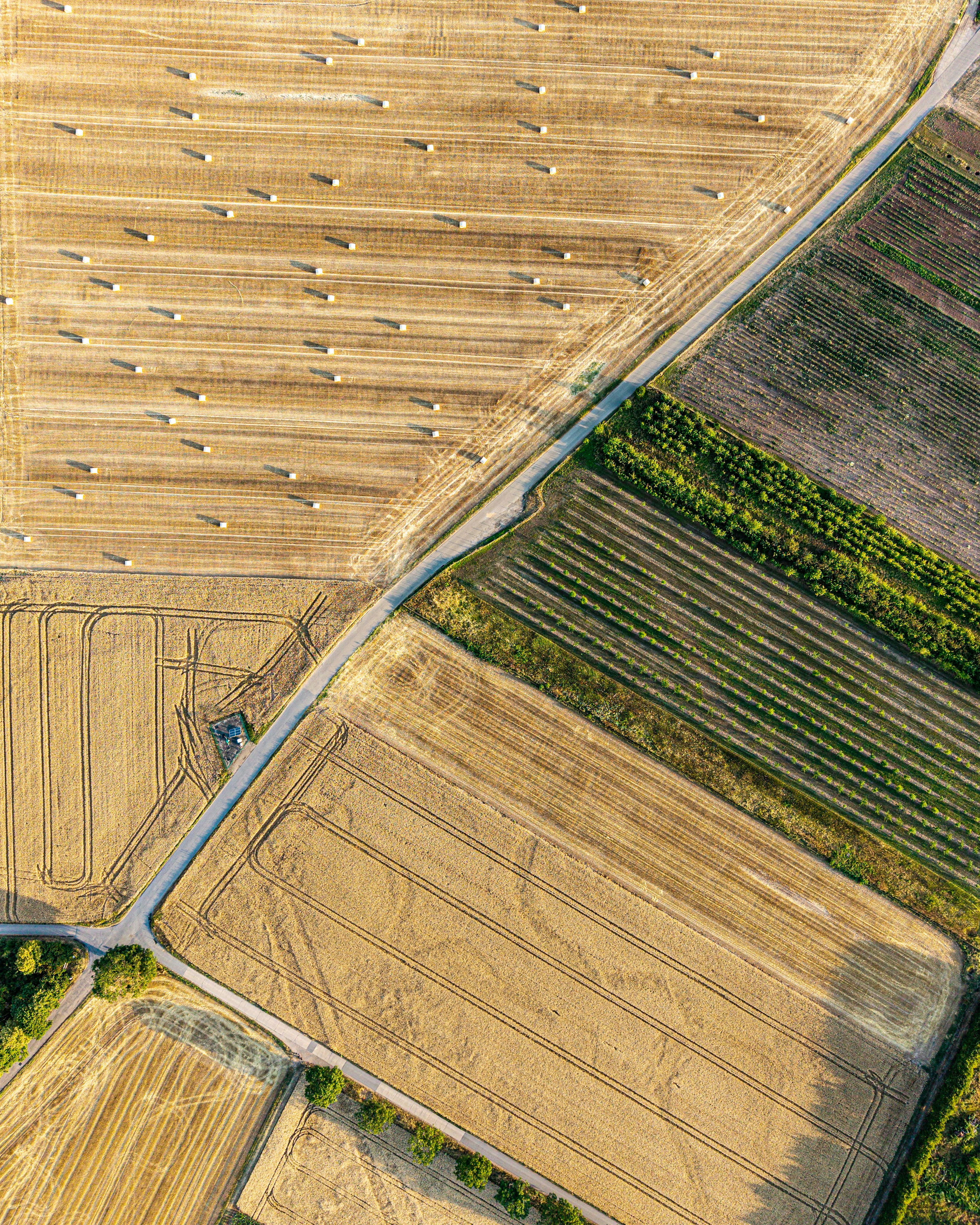Crossroads of Harvest: Aerial Patchwork of Fields and Road