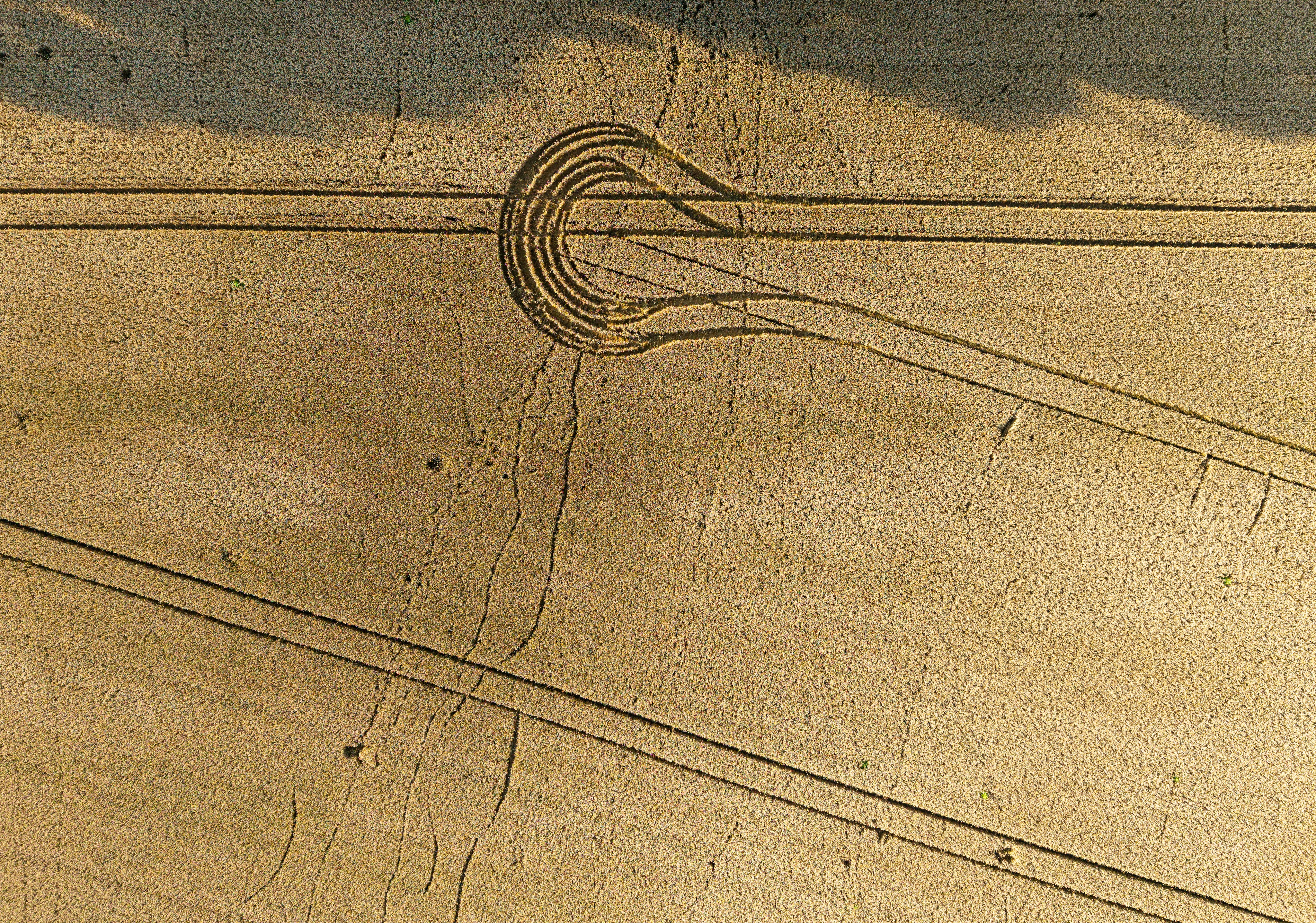 Arching Cables Over Sand: Aerial Lines Tracing a Quiet Dune