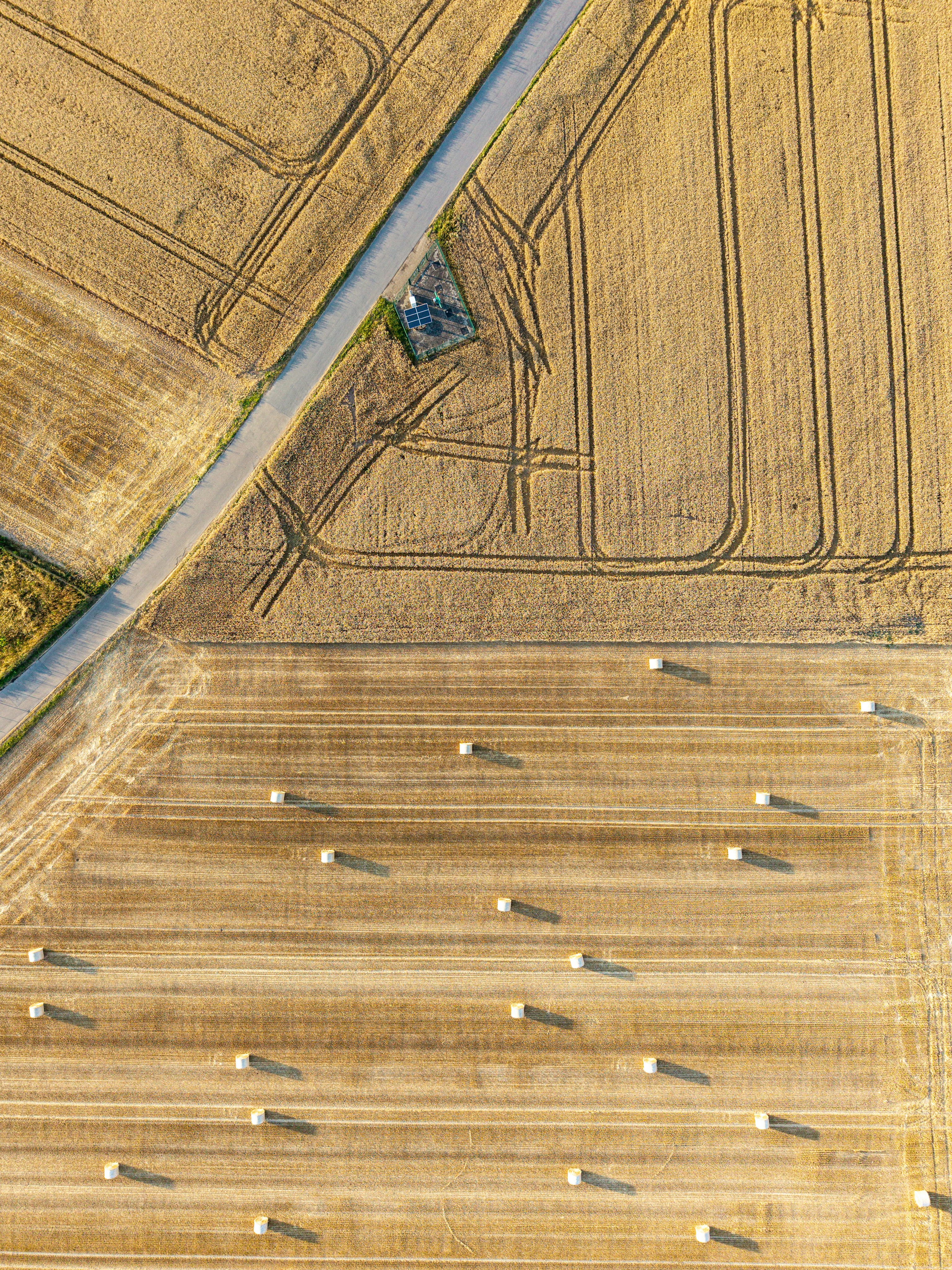 Pasture Lines: An Aerial Study of Field Geometry and a Lone Road