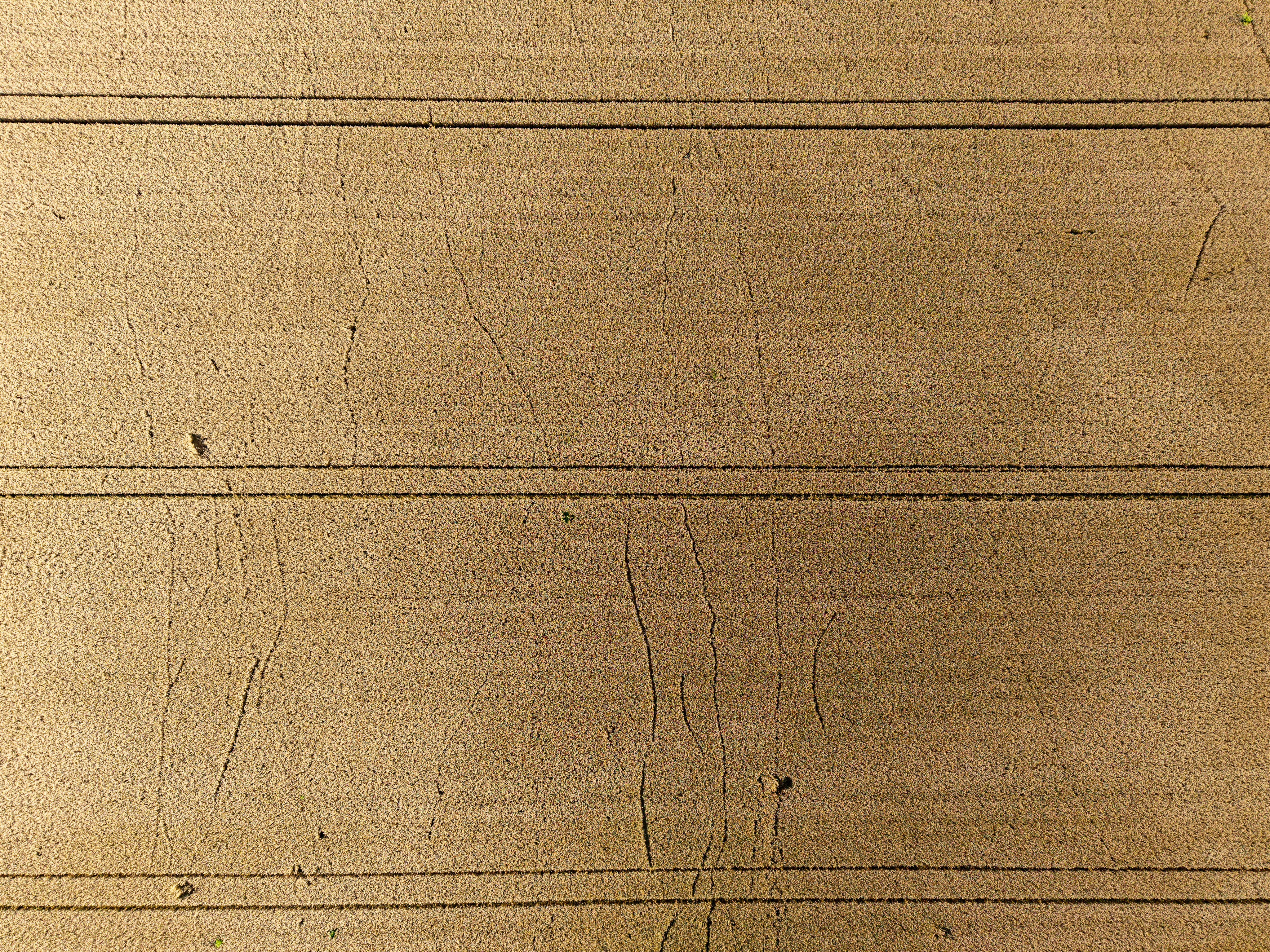 Worn Cardboard Lines: Subtle Cracks in a Sunlit Surface
