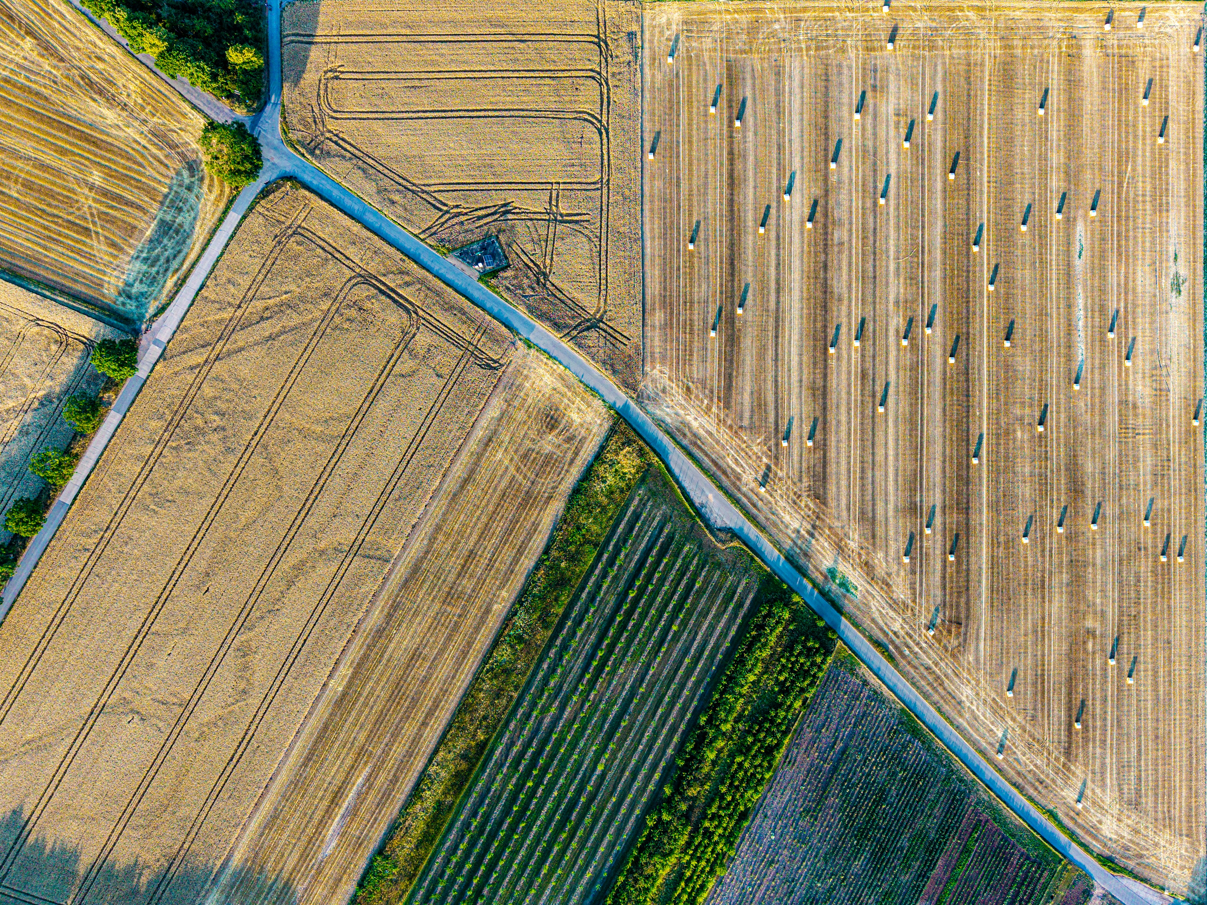 Crossroads of Harvest: Aerial Patchwork of Fields and Road