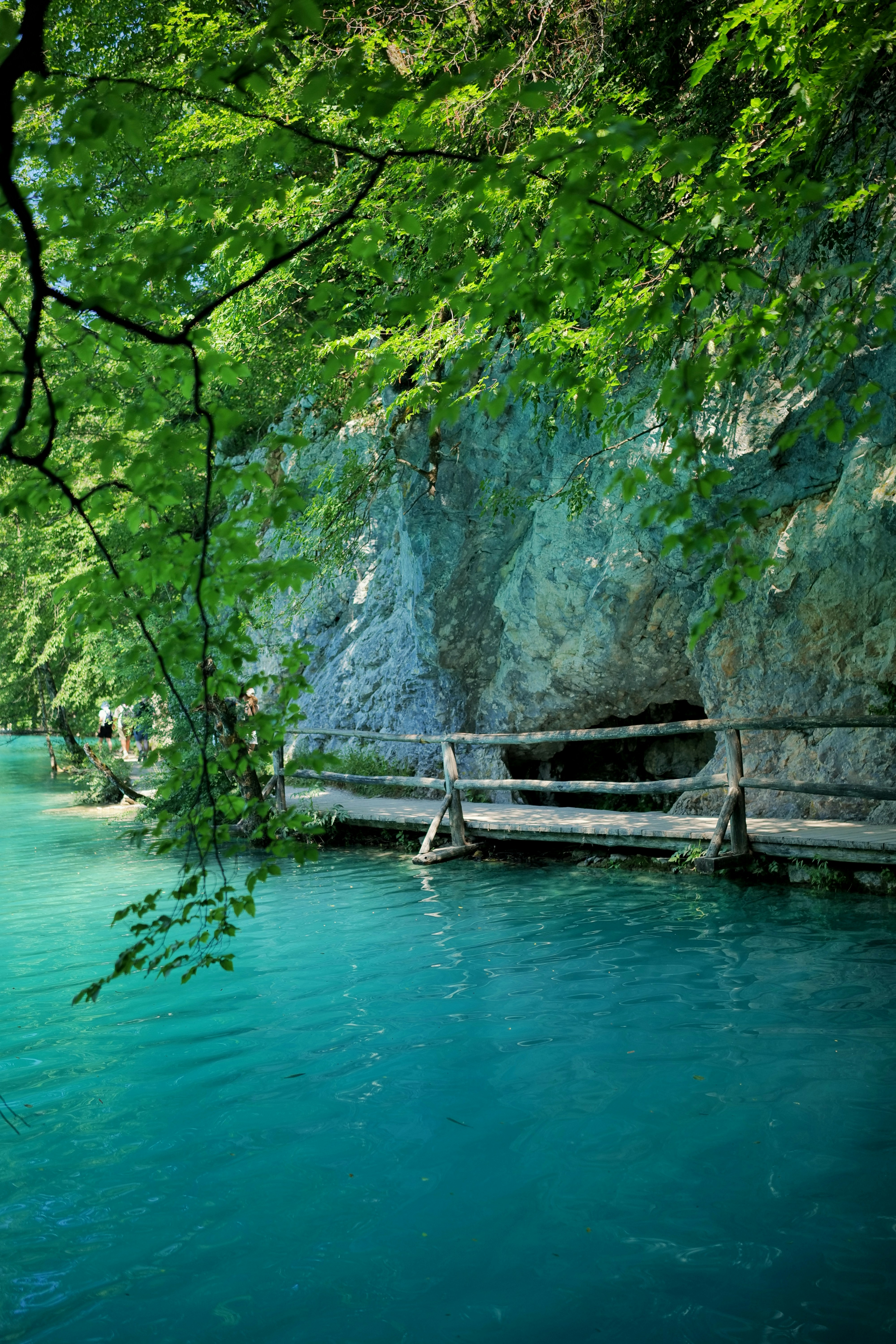 Emerald Gate: A Quiet Boardwalk Beneath Verdant Canopy